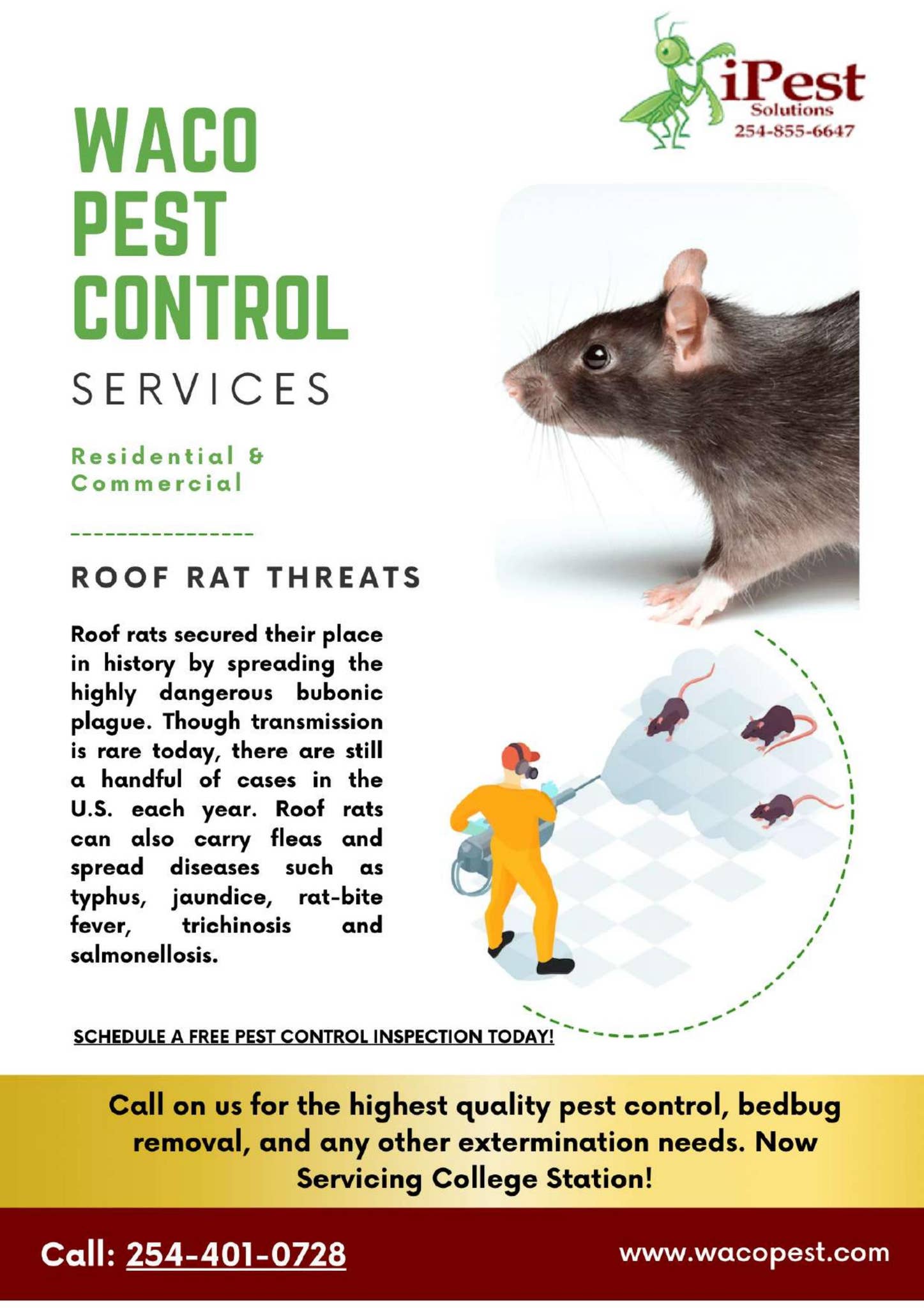 Stunning Pest Control Waco Images