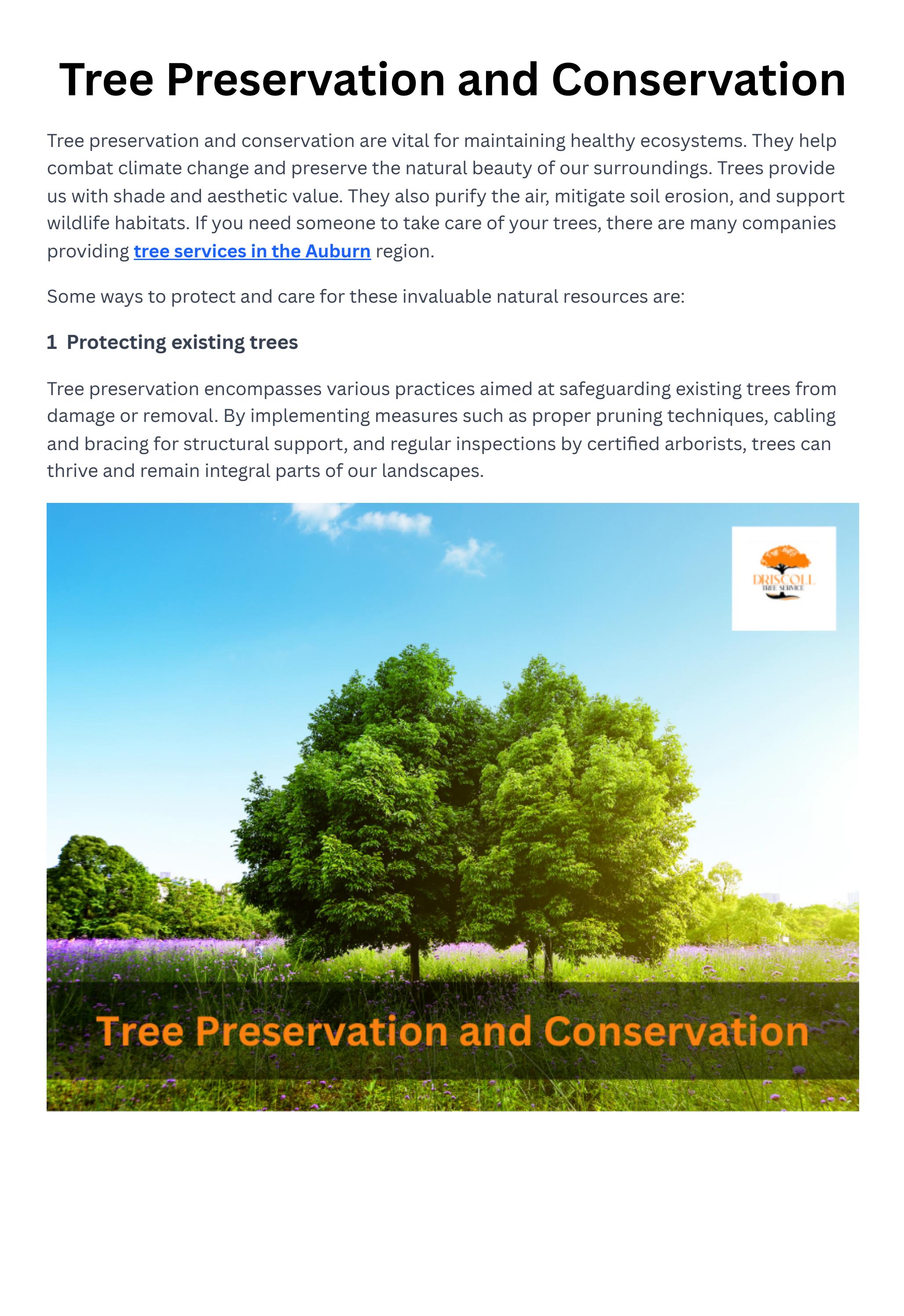 Tree Preservation and Conservation by Driscoll Tree Service - Issuu