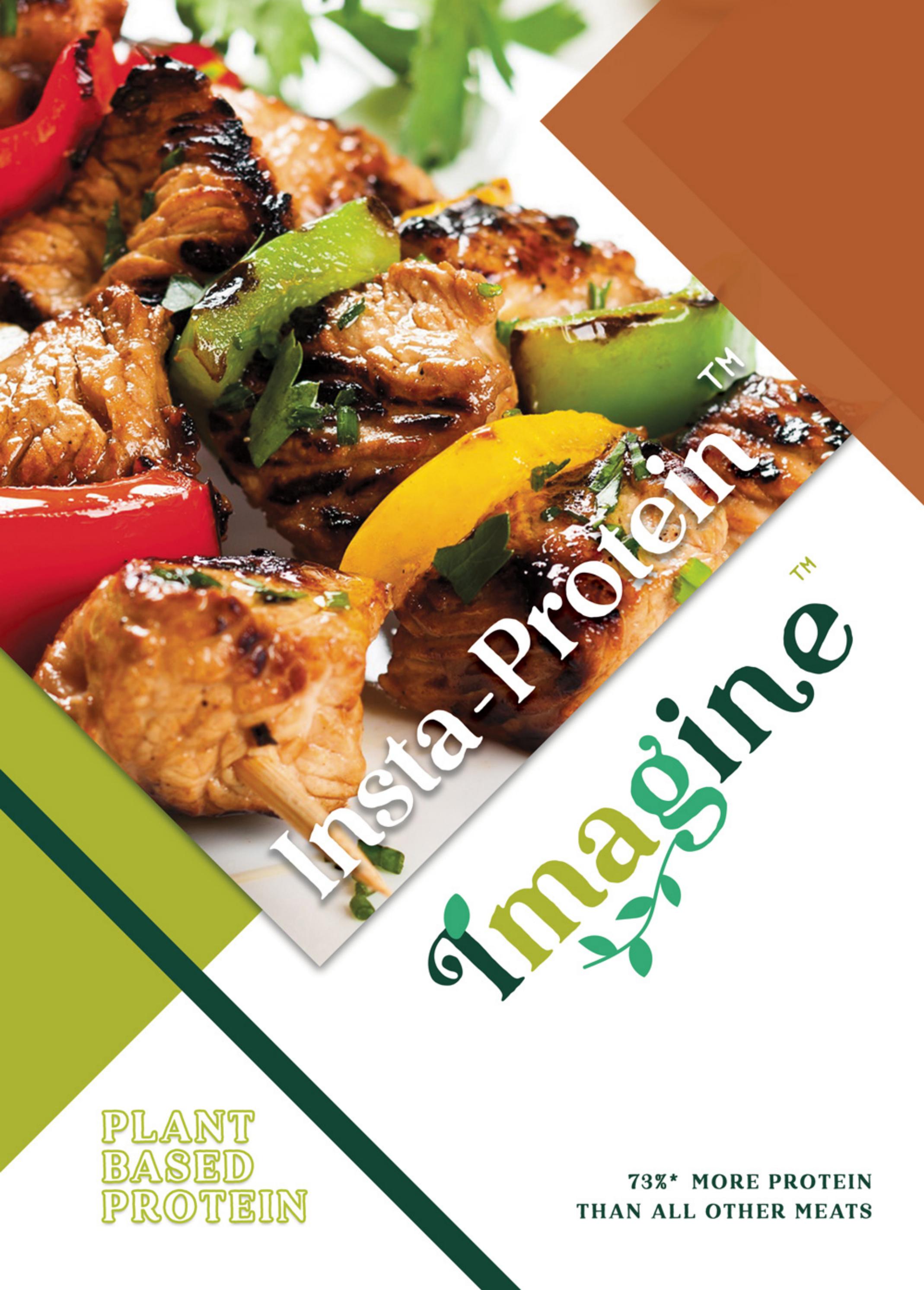 Company Profile Design | Intra Protein | Plant Based Protein by ...