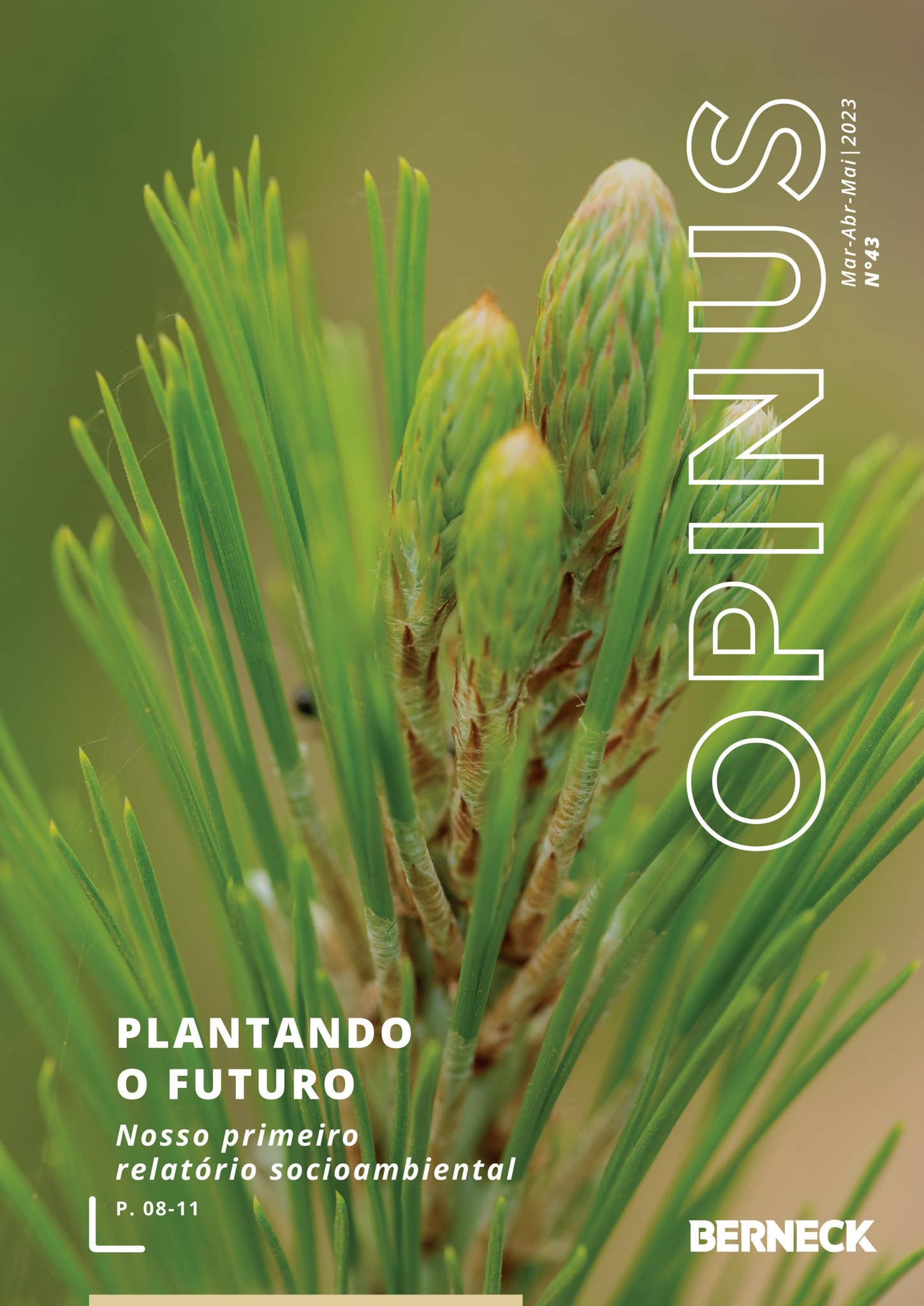 Opinus edição 43 by Berneck - Issuu