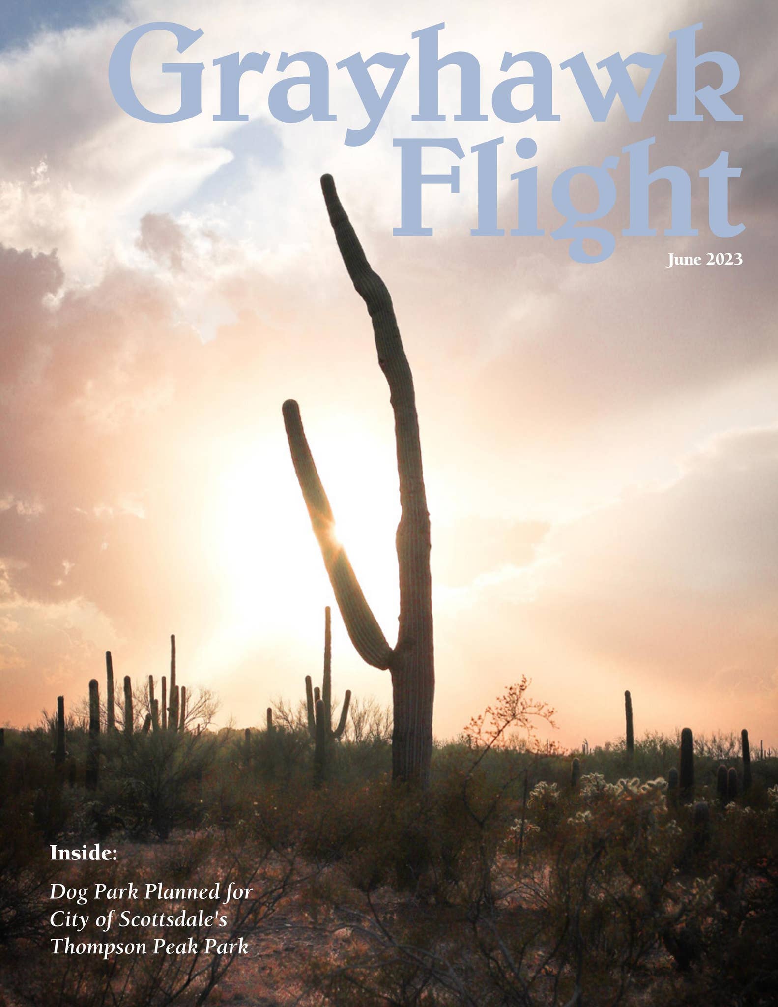 The Grayhawk Flight- June 2023 by Grayhawk Flight - Issuu