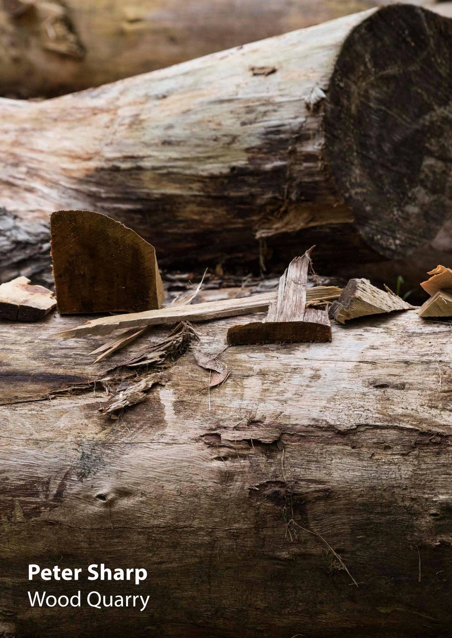 Peter Sharp: Wood Quarry by Hazelhurst Arts Centre - Issuu