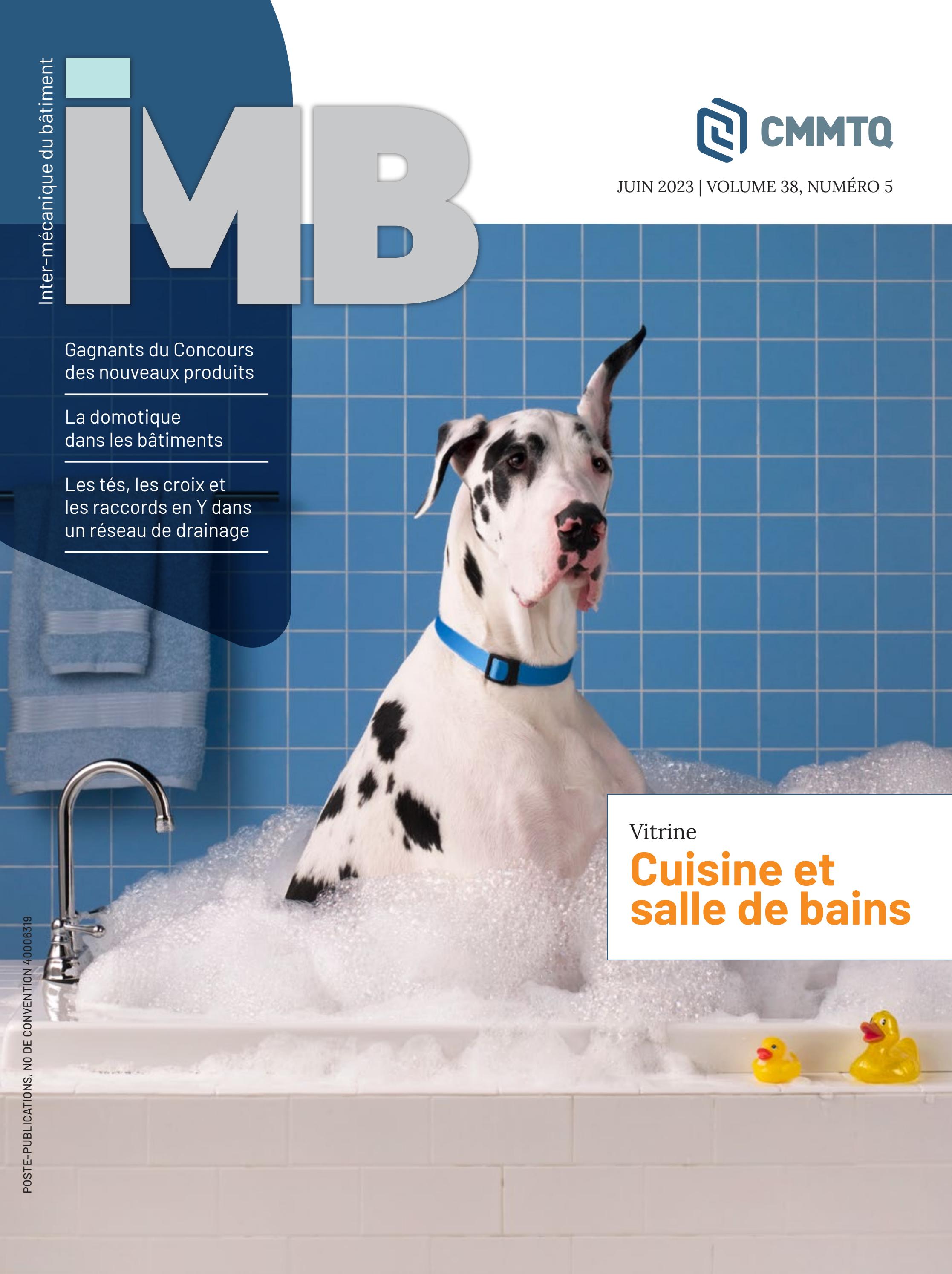 Inter-mécanique du bâtiment (IMB) | Vol. 38, n° 5 | Juin 2023 by CMMTQ ...