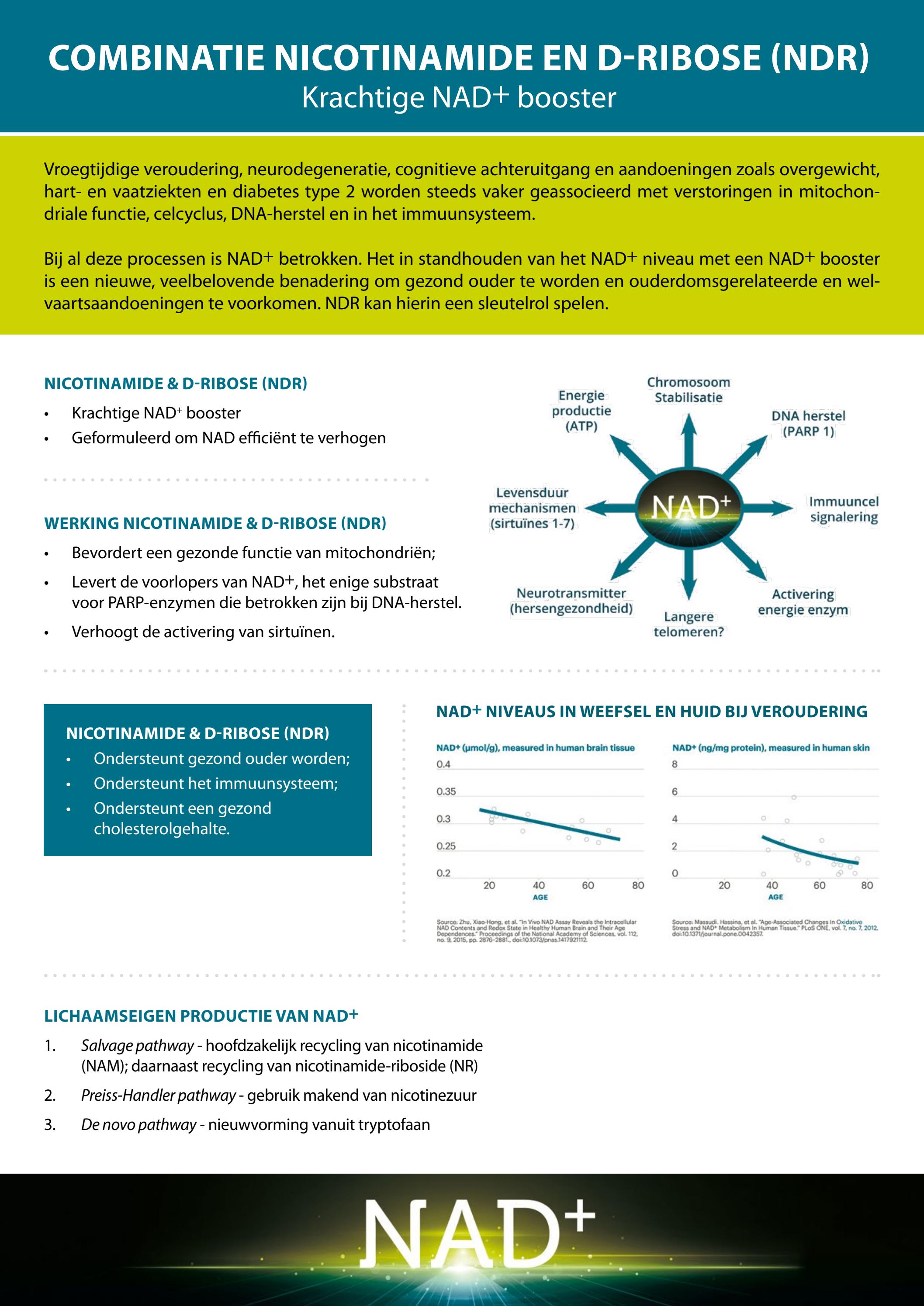 Infographic NDR (Nicotinamide + D-ribose) by Springfield Nutraceuticals ...