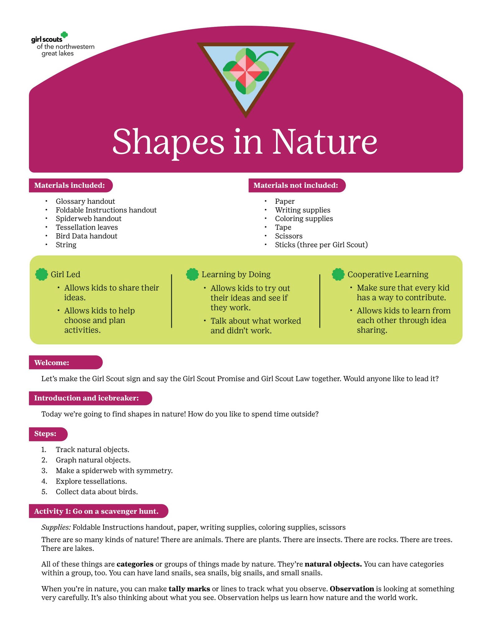 Shapes in Nature - Brownie by Girl Scouts of the Northwestern Great ...