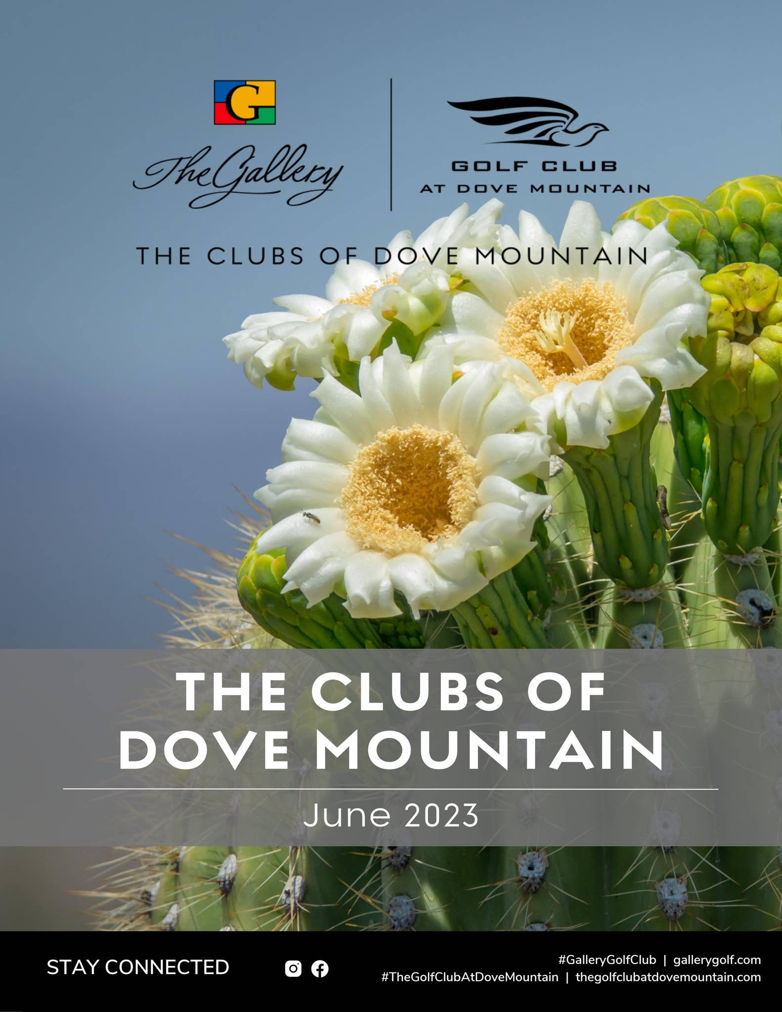 The Clubs of Dove Mountain June 2023 by Escalante Golf - Issuu