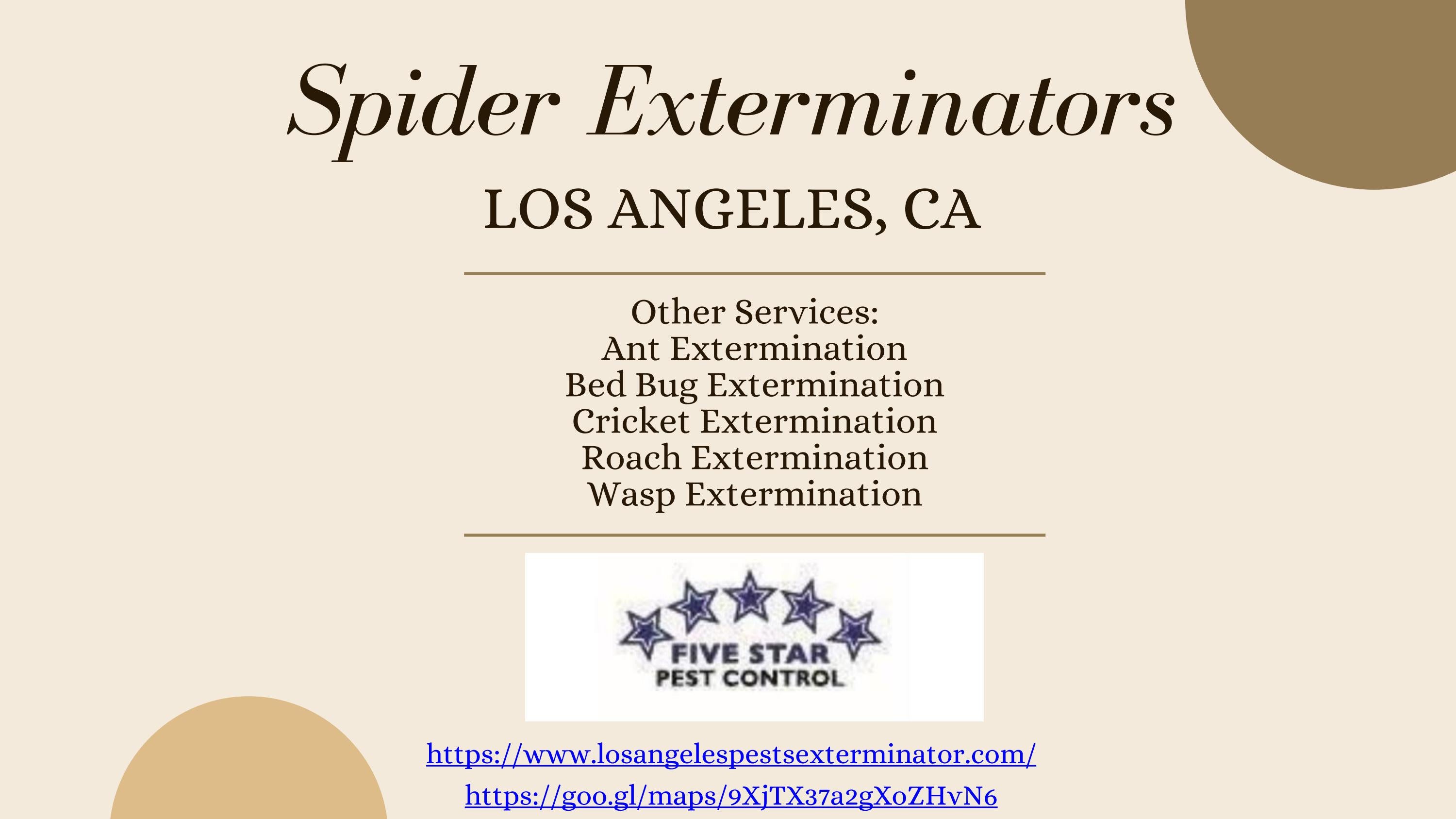 Spider Exterminators Los Angeles CA by losangelespestsexterminator - Issuu