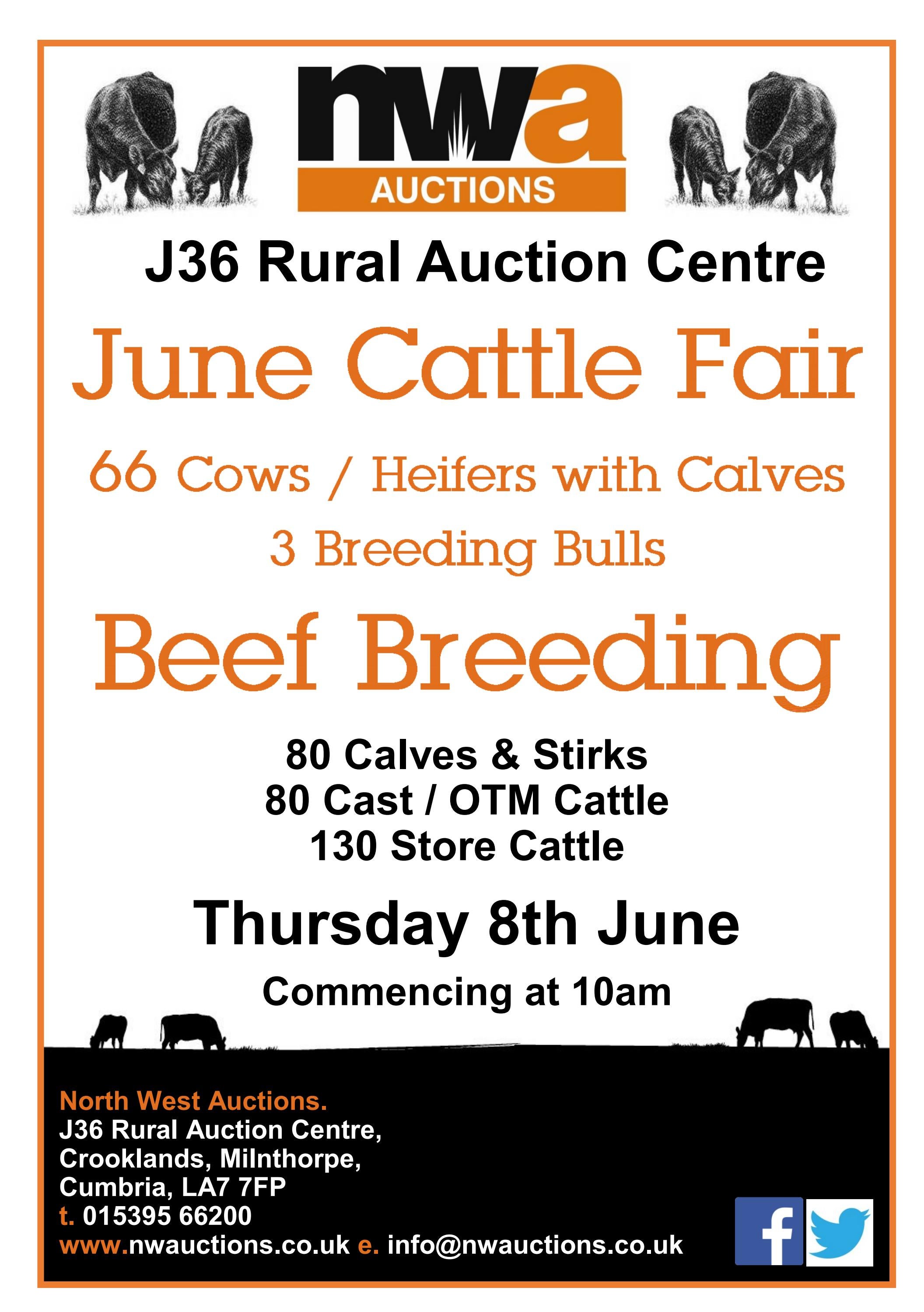 STORE AND BREEDING CATTLE CATALOGUE by North West Auctions - Issuu