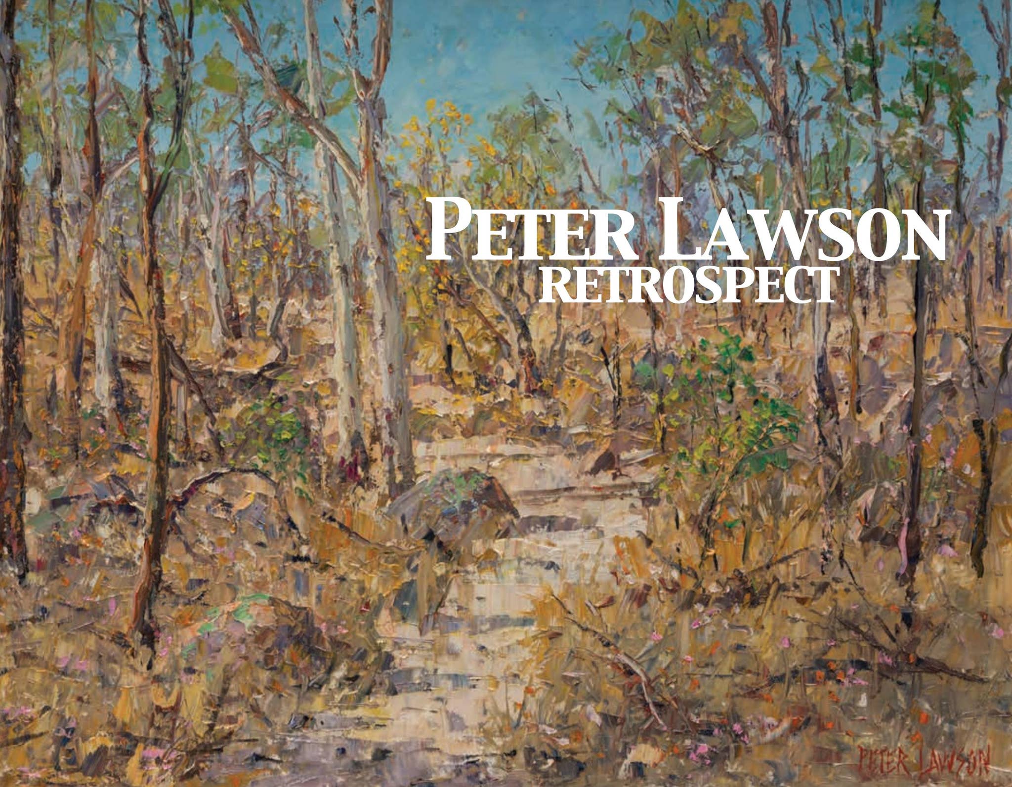 2015 Peter Lawson : Retrospect Publication by Townsville City Council ...