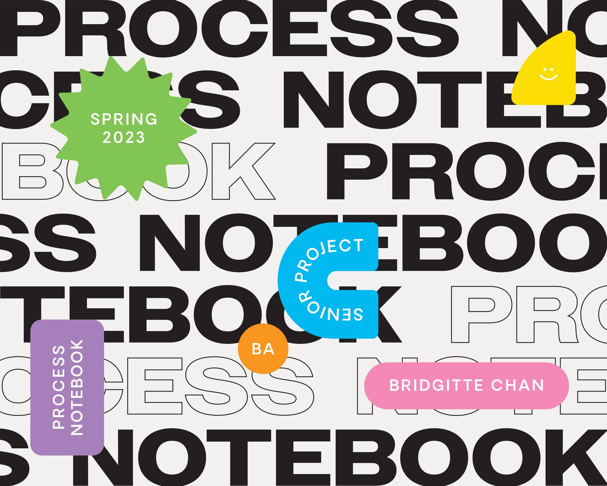 DSGN197: Design Process Notebook by Bridgitte Chan - Issuu