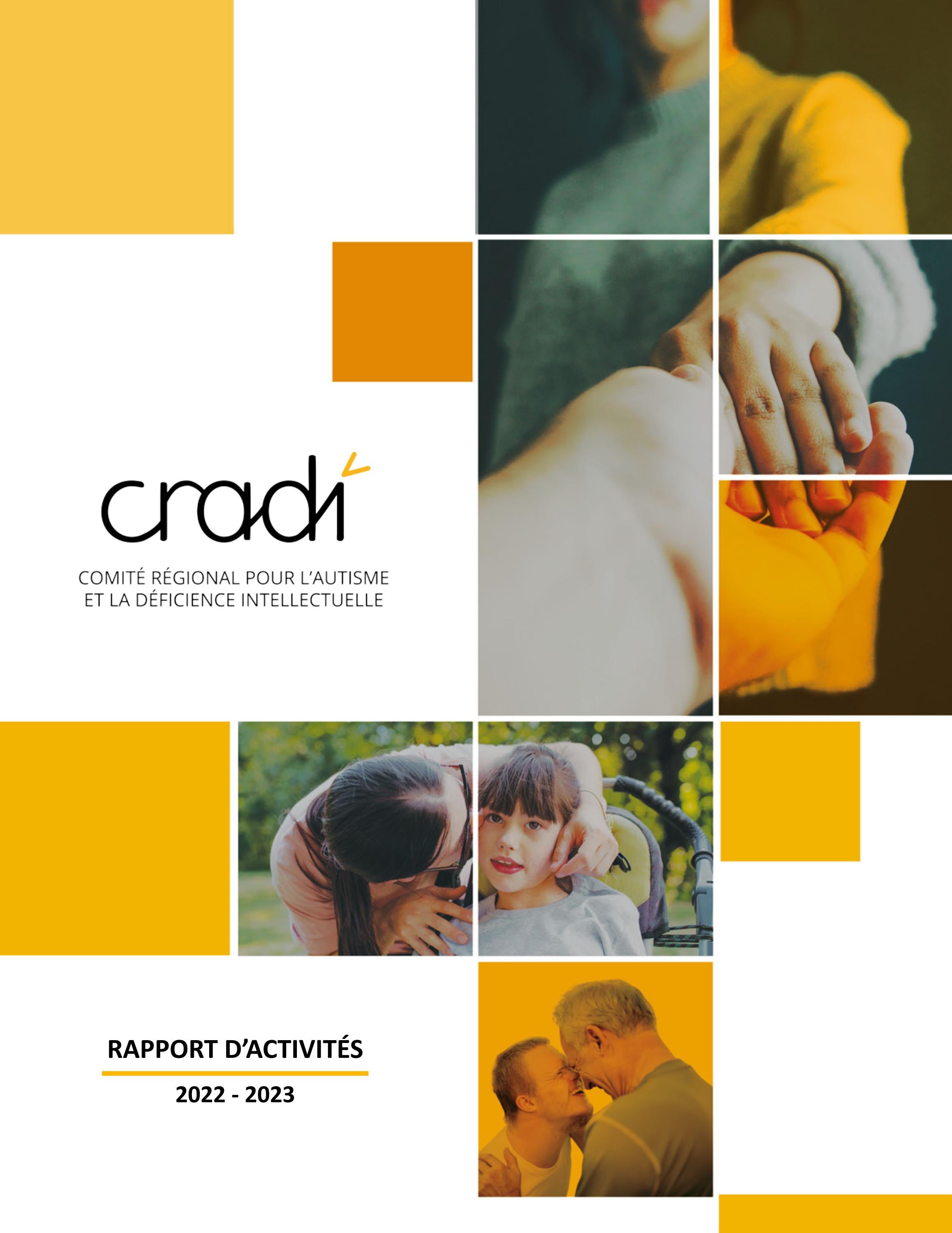 Rapport d'activités CRADI 2022 - 2023 by CRADI - Issuu