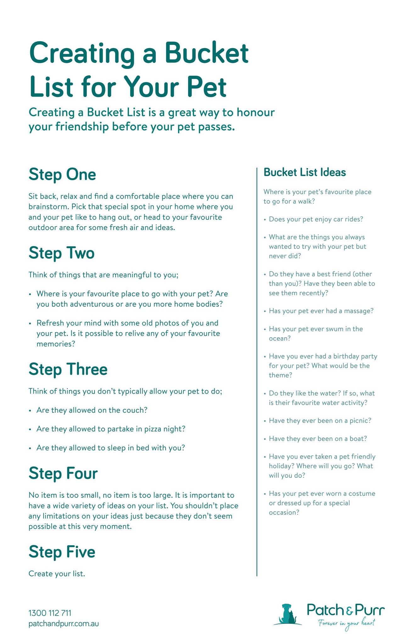 Patch & Purr Pet Bucket List by InvoCare PetCare - Issuu