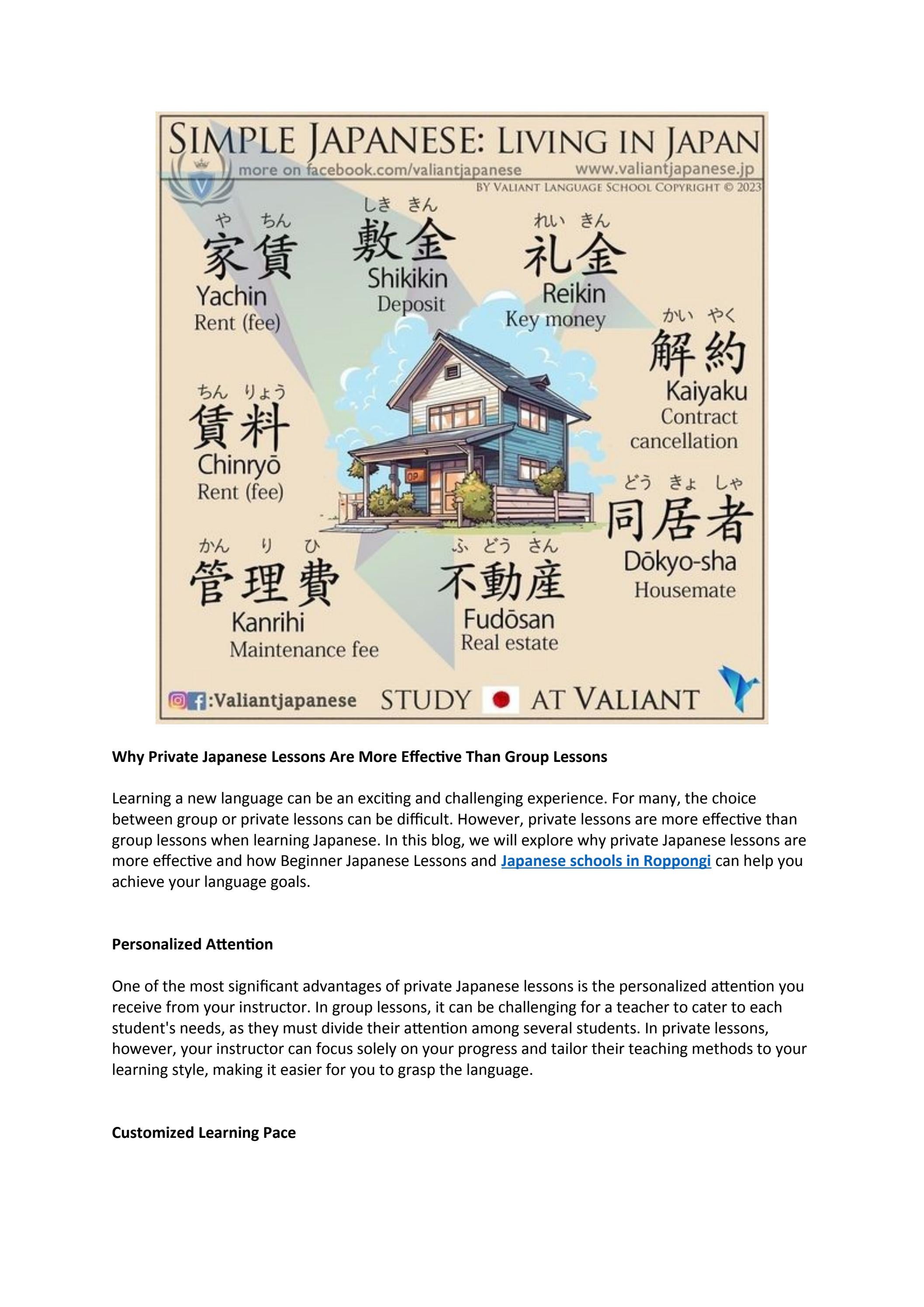Why Private Japanese Lessons Are More Effective Than Group Lessons by ...