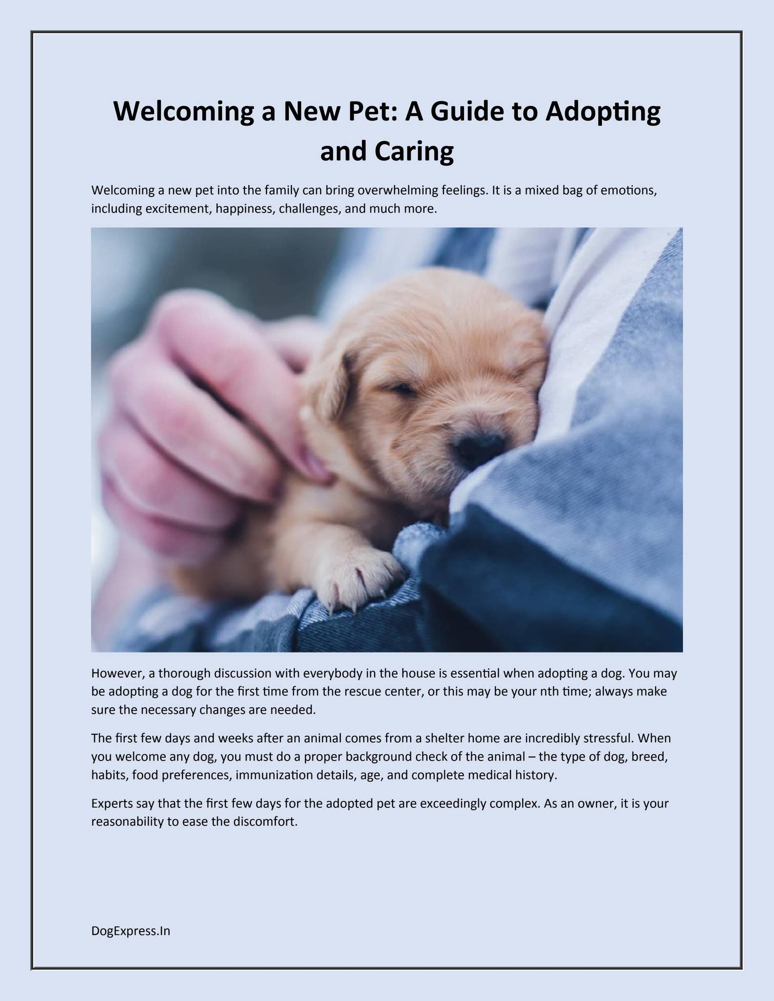 Welcoming a New Pet by DogExpress - Issuu