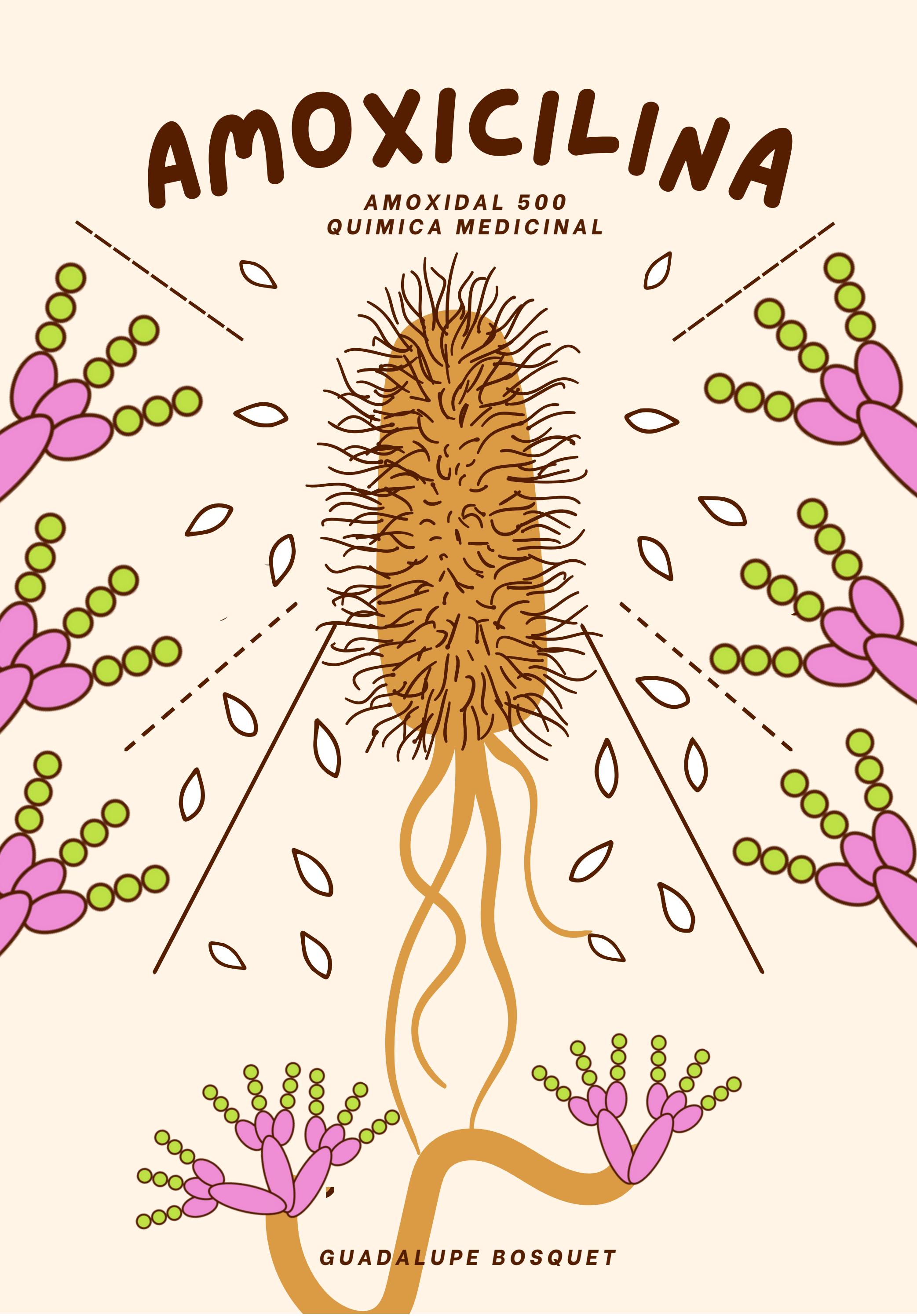 Amoxicilina, Química Medicinal by Guada Bosquet - Issuu