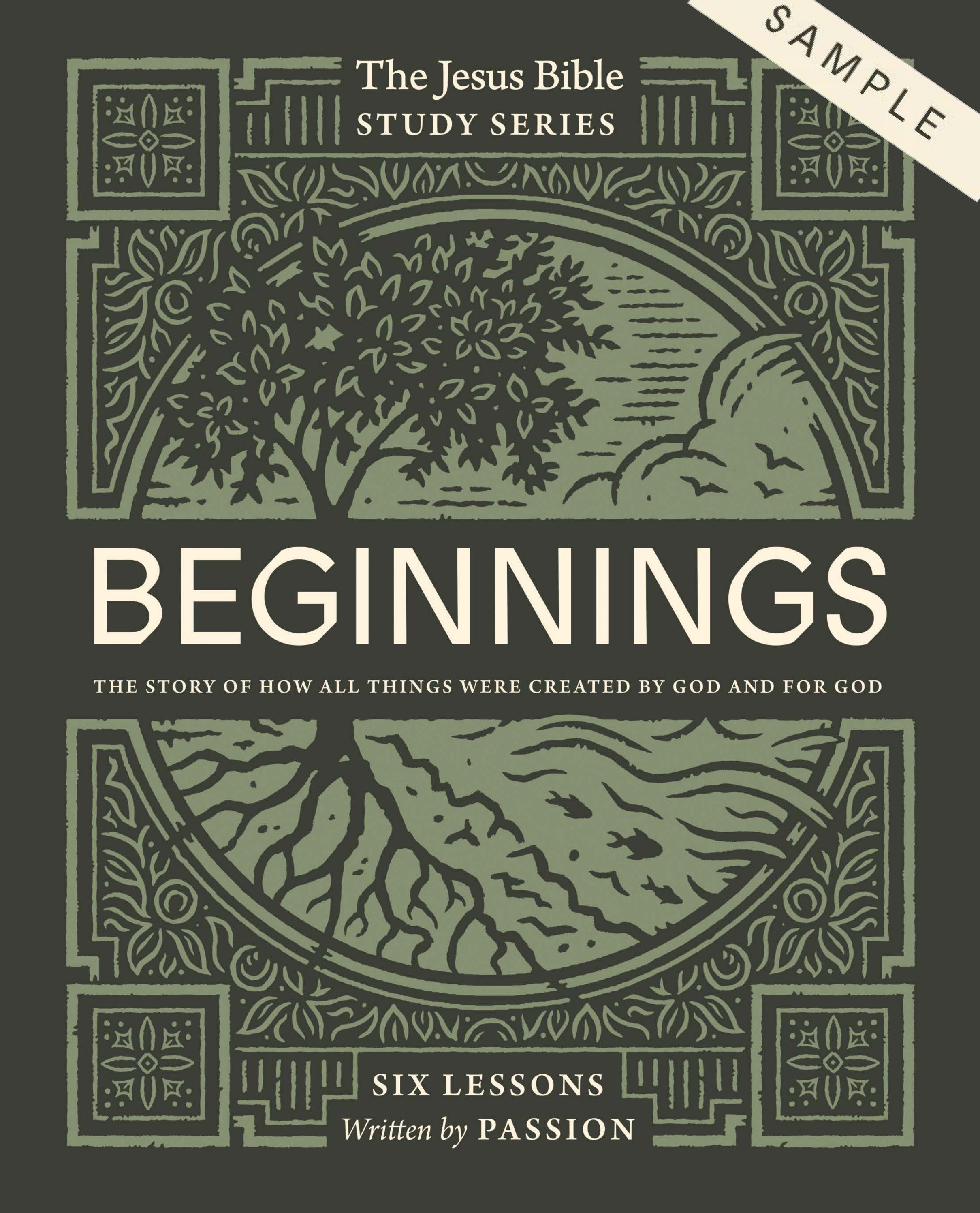 BEGINNINGS Bible Study Guide Sample Lesson by ChurchSource - Issuu
