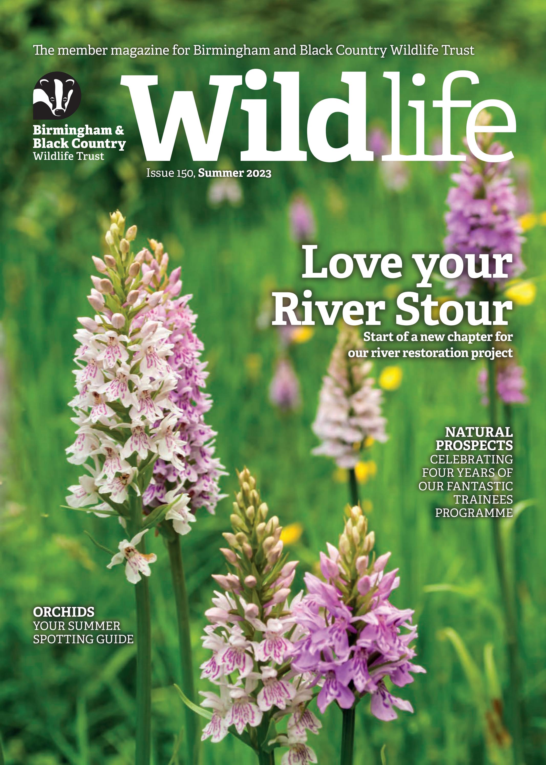 Wildlife Magazine Issue 150 - Summer 2023 by bbcwildlifetrust - Issuu