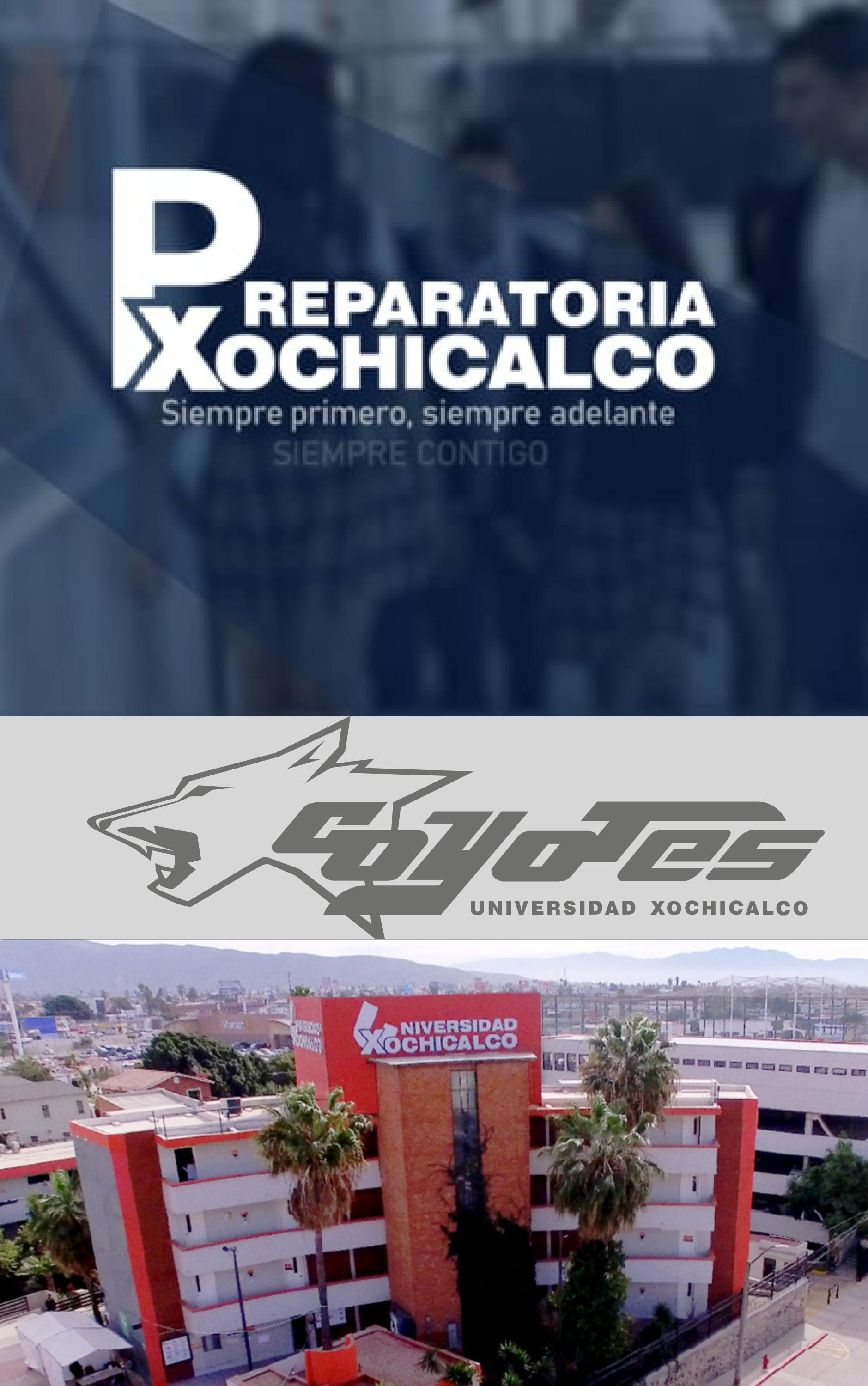 Proyecto Transversal by Ruben Cedillo - Issuu