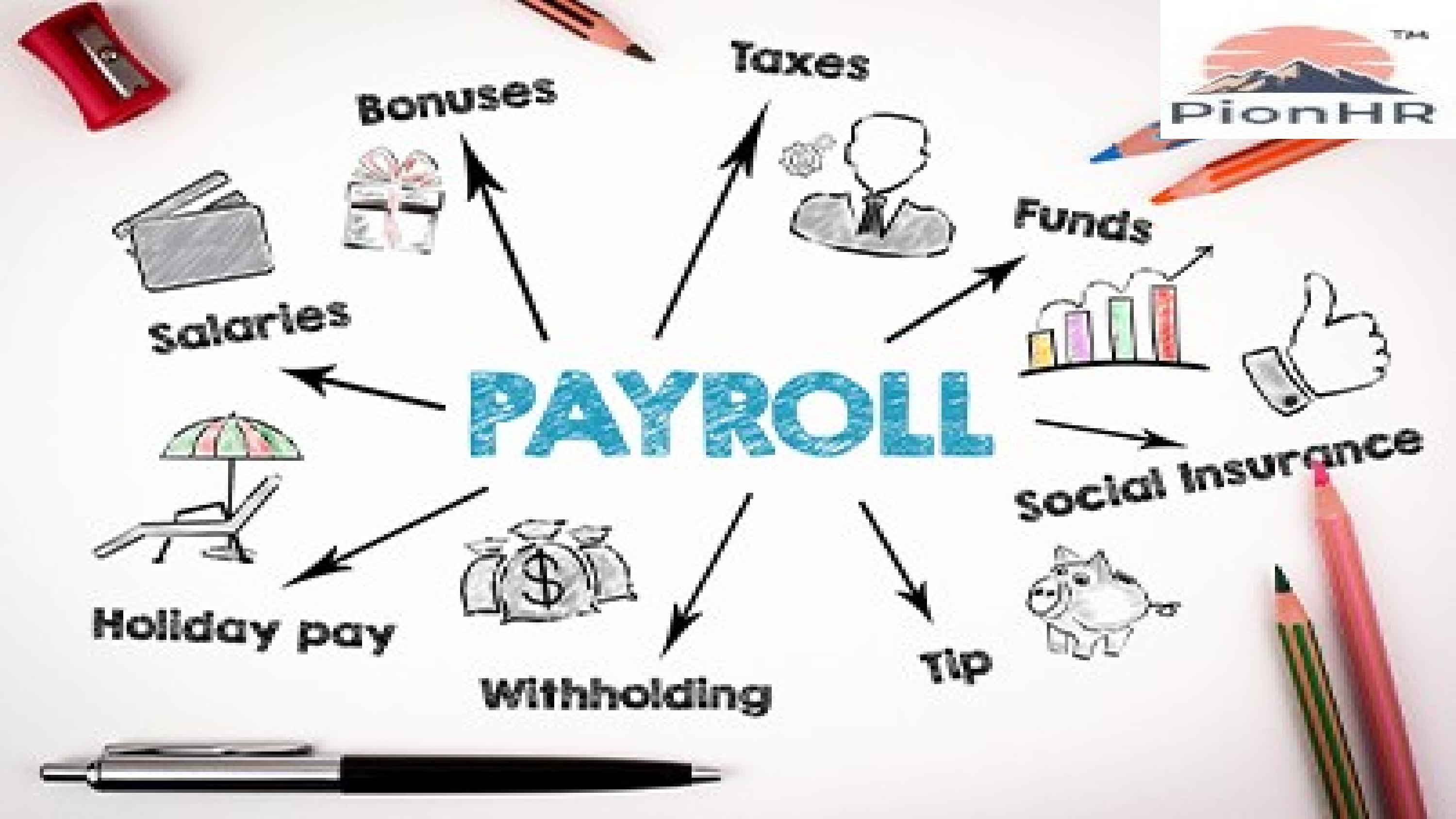 Choose the Best Online Payroll Software for Efficient Payroll ...