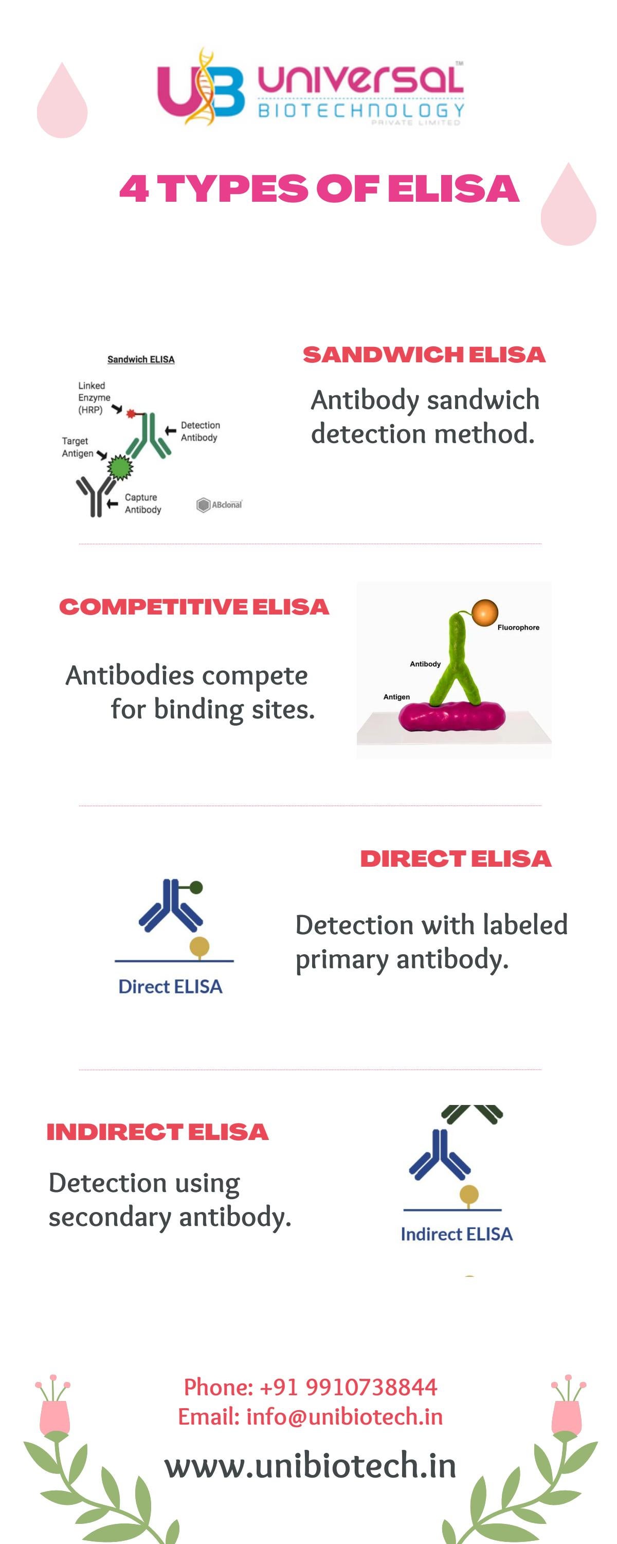 4 Type of elisa kit by Universal Biotechnology - Issuu