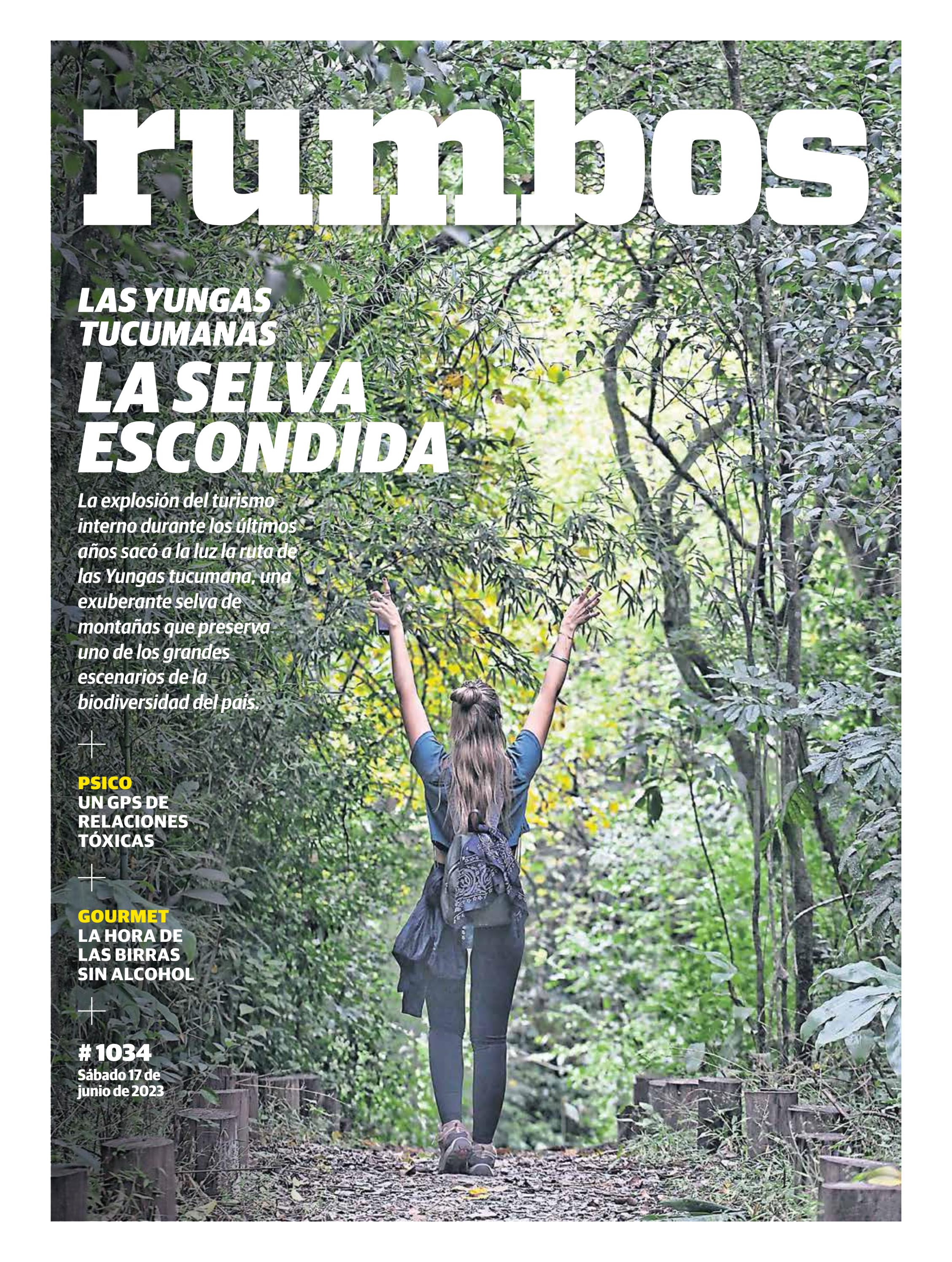 Las Yungas tucumanas - La selva escondida by rumbosdigital - Issuu