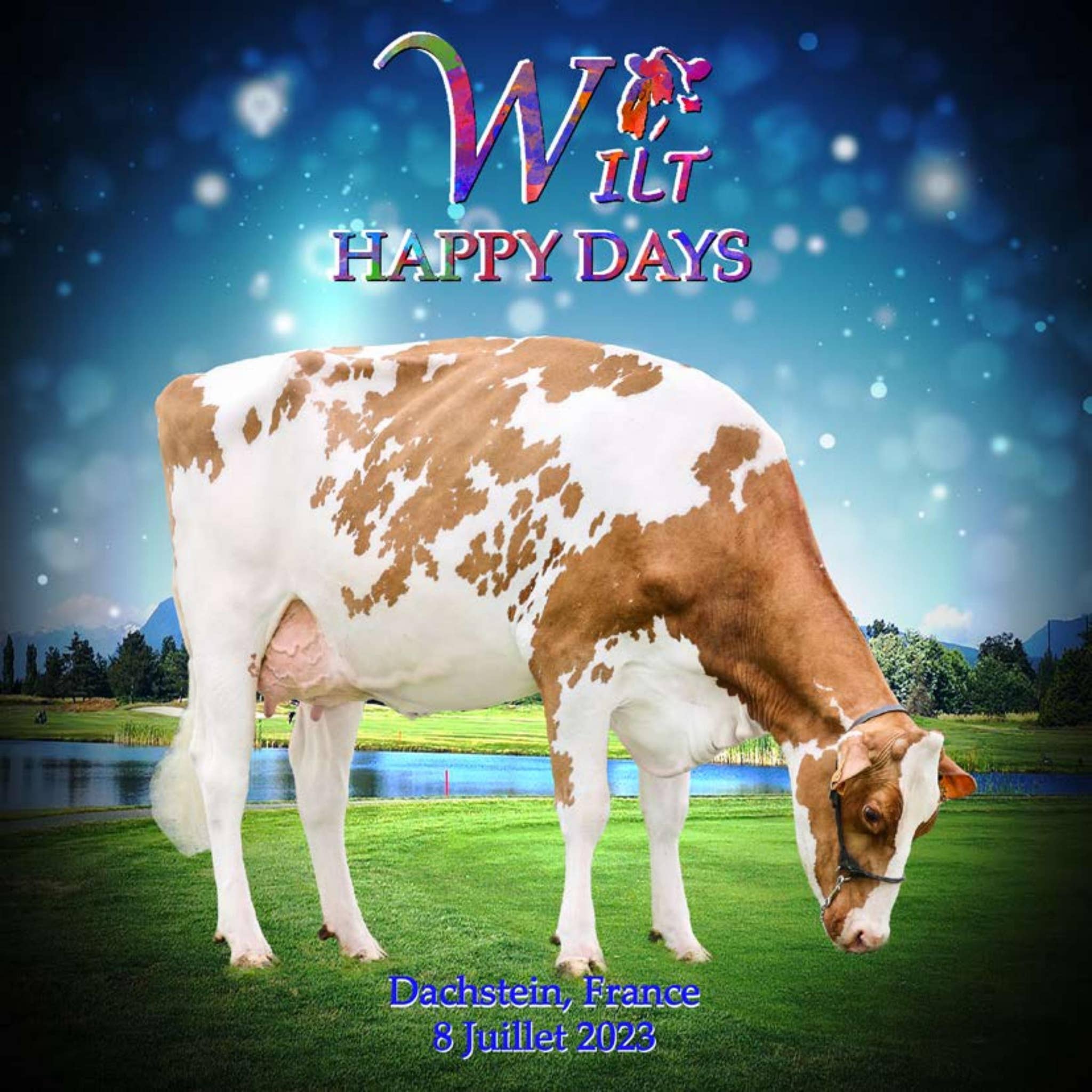 WILT HAPPY DAYS 2023 by S TOLEDO - Issuu
