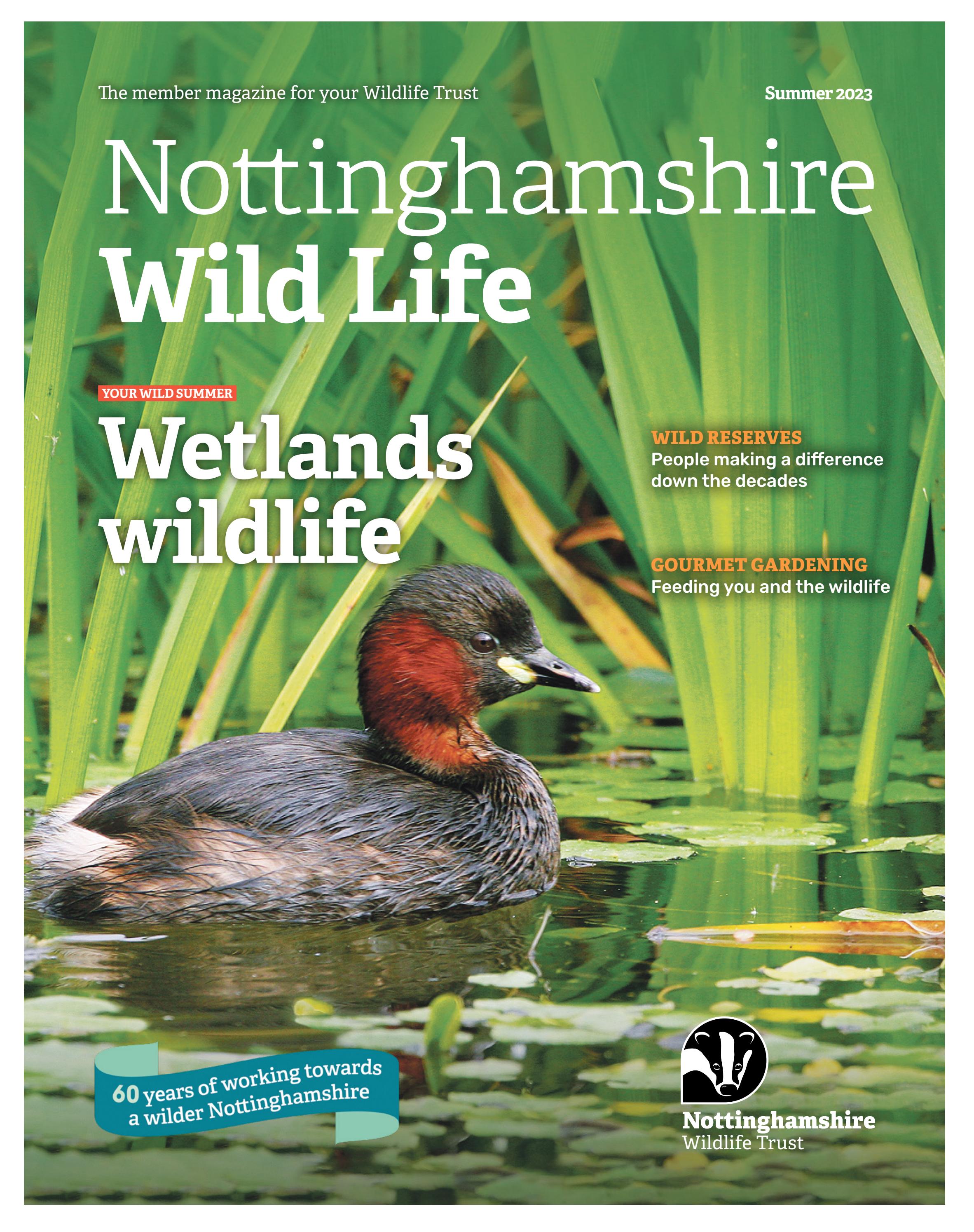 Nottinghamshire Wild Life - Summer 2023 by Nottinghamshire Wildlife ...