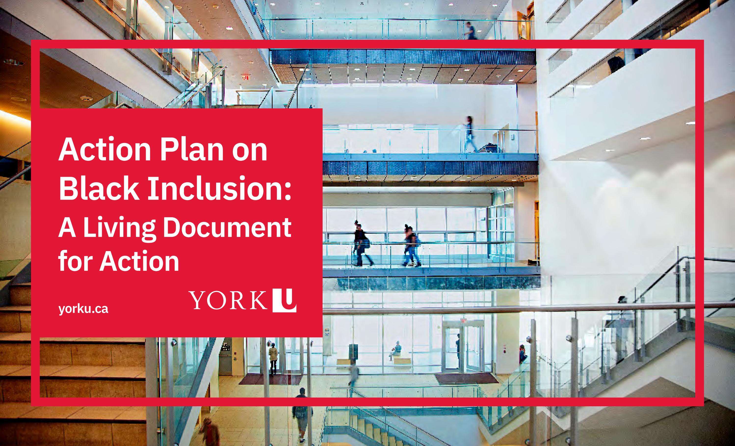 Action Plan on Black Inclusion: A Living Document for Action by york ...