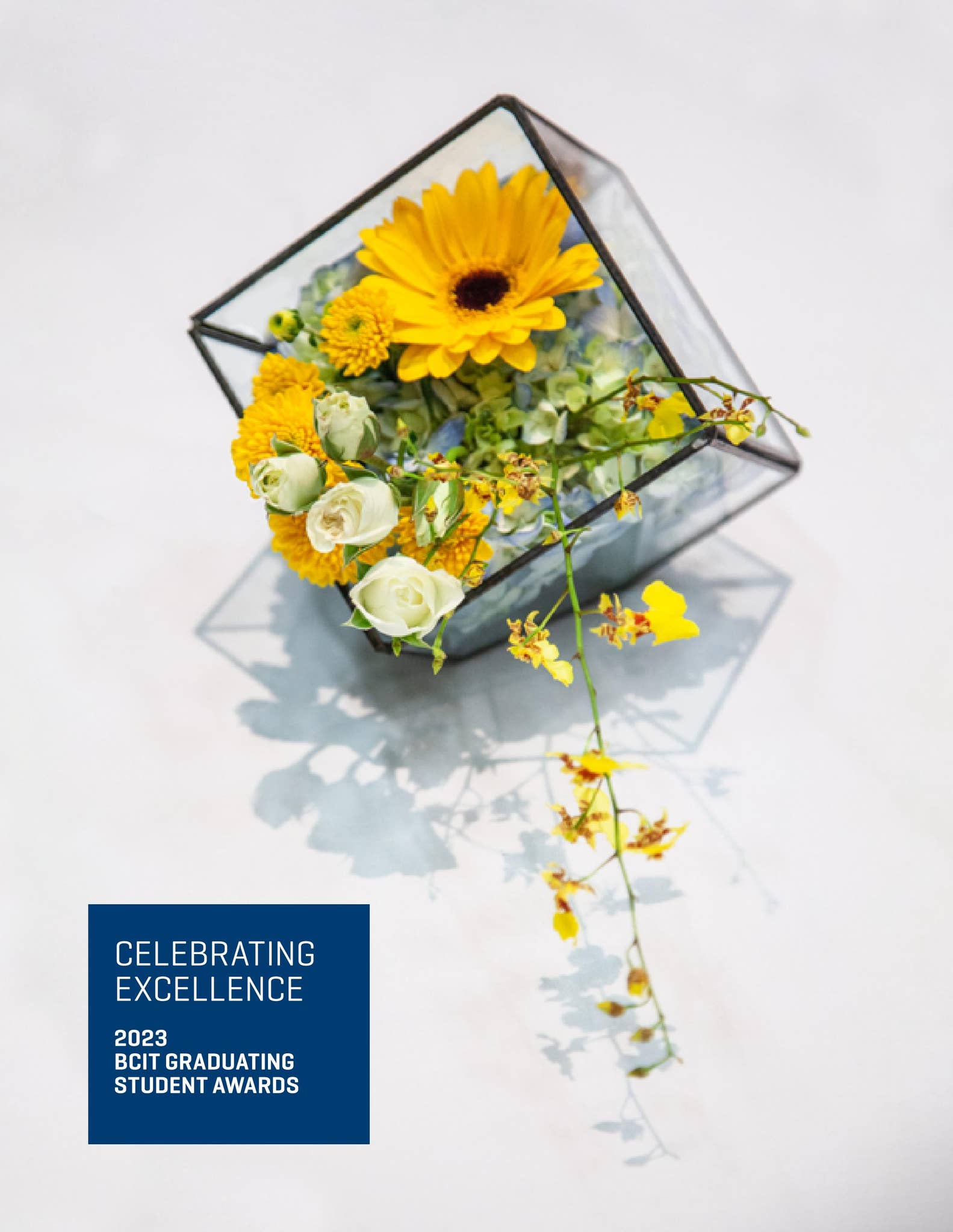 BCIT 2023 Graduating Student Awards by BCIT - Issuu