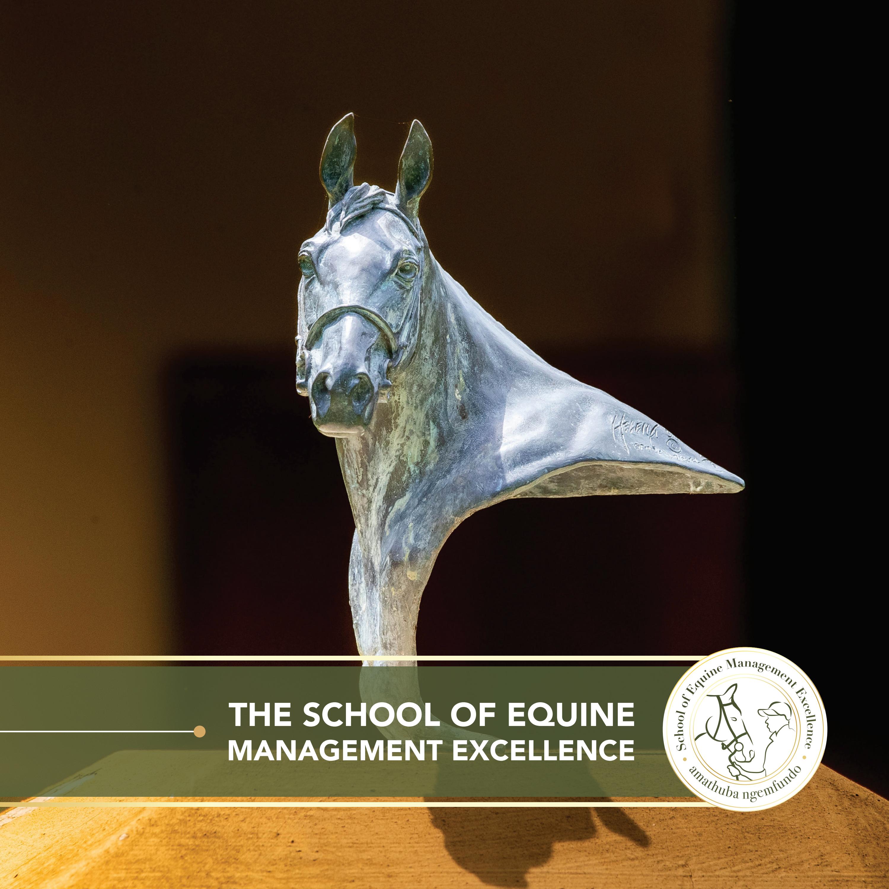The School of Equine Management Excellence by hqmagazine - Issuu