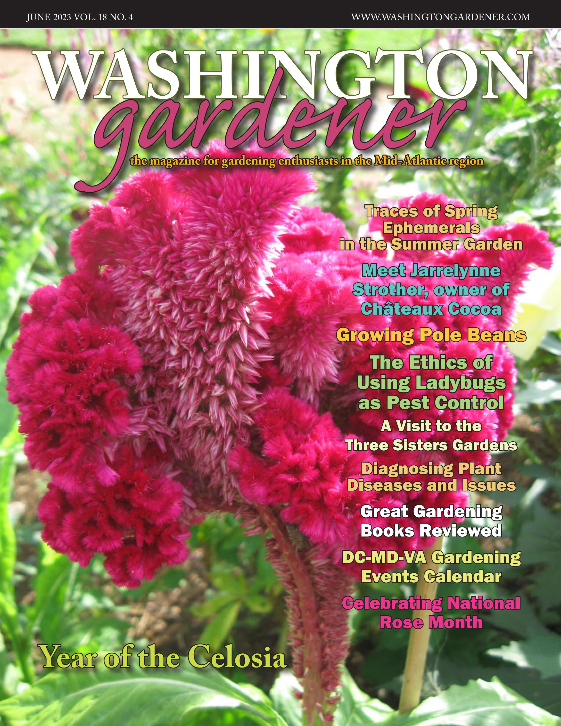 Washington Gardener Magazine June 2023 by Kathy J - Issuu