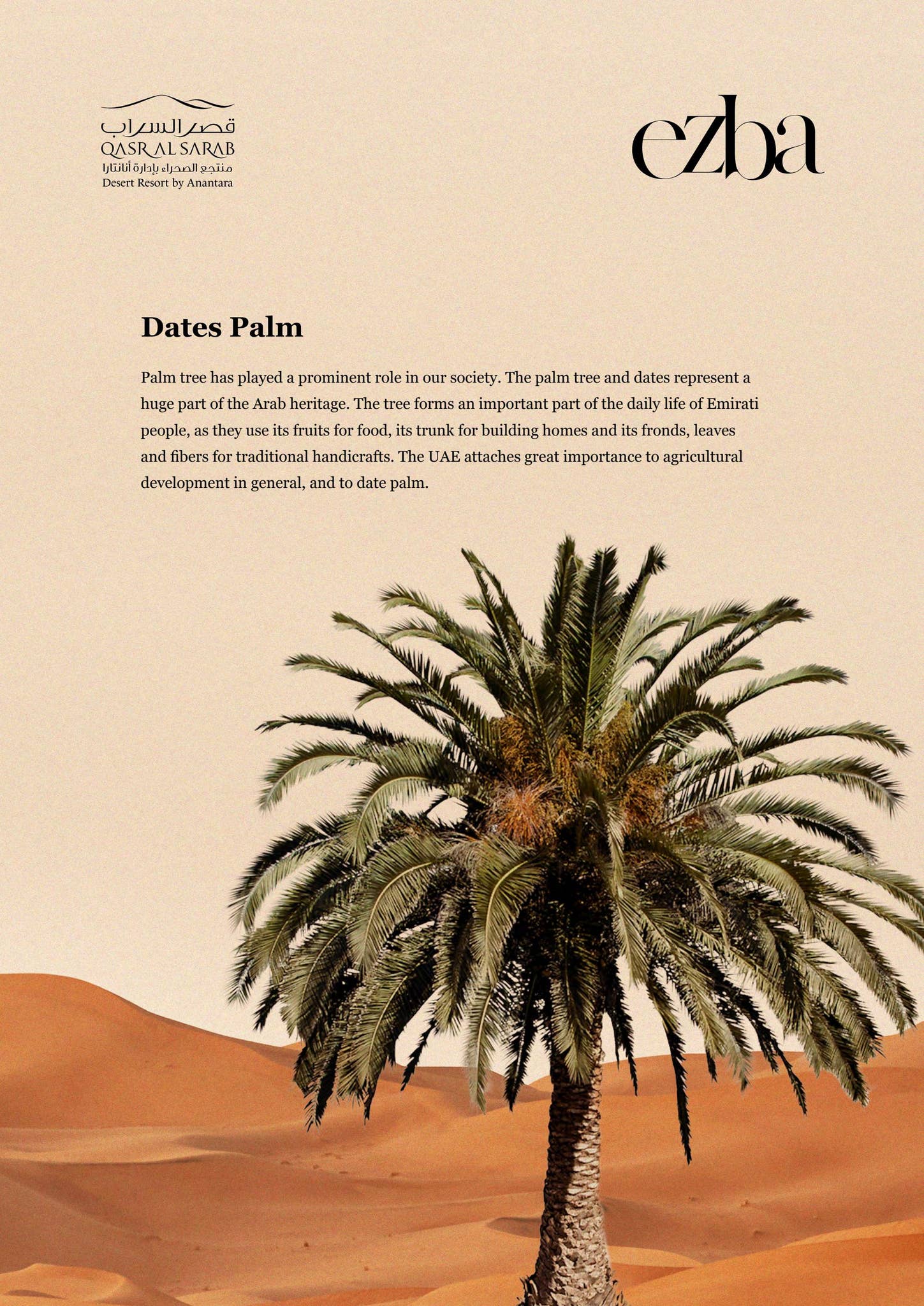 QAS - Ezba - Trees by anantaraabudhabiresorts - Issuu