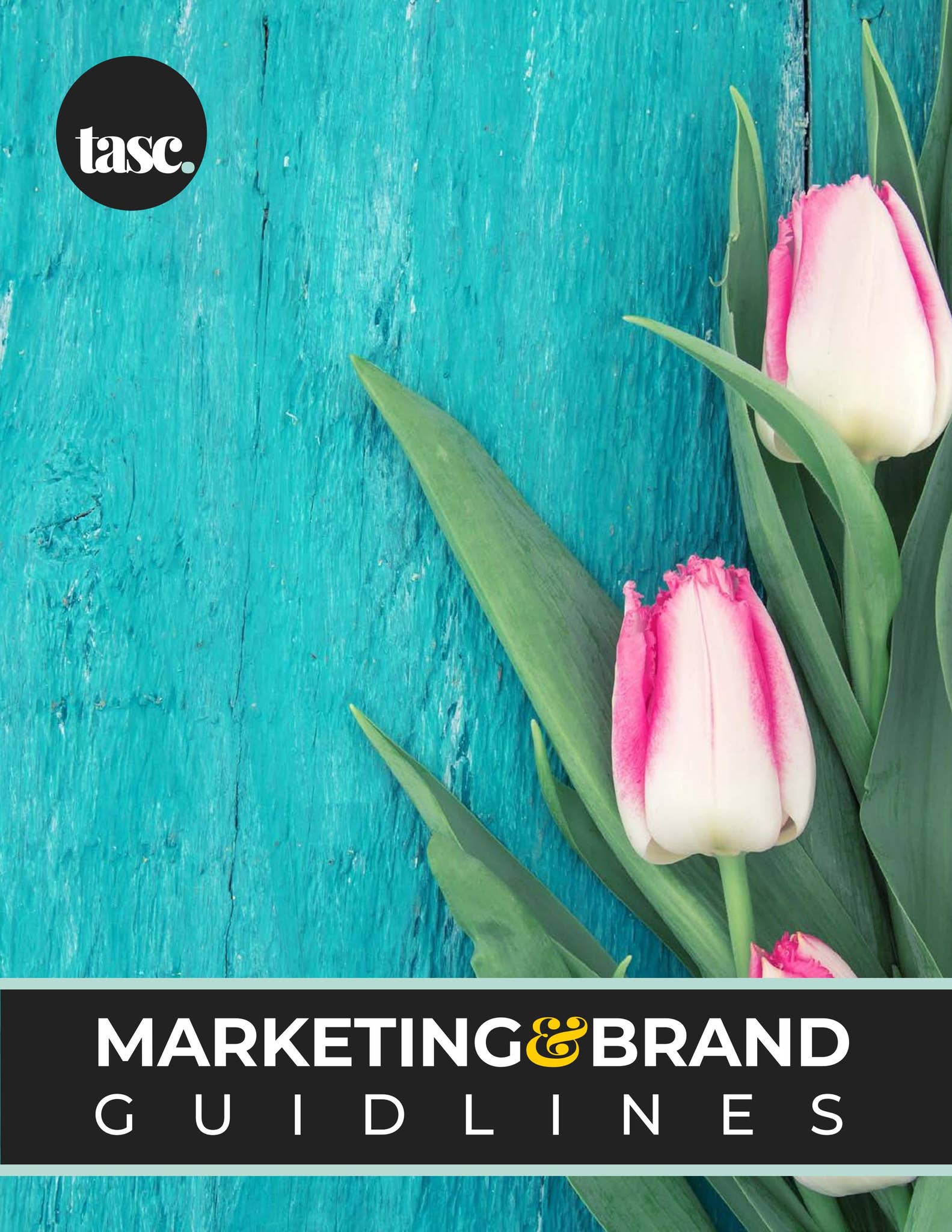 TASC Brand Guidelines by Robert Carissimo - Issuu