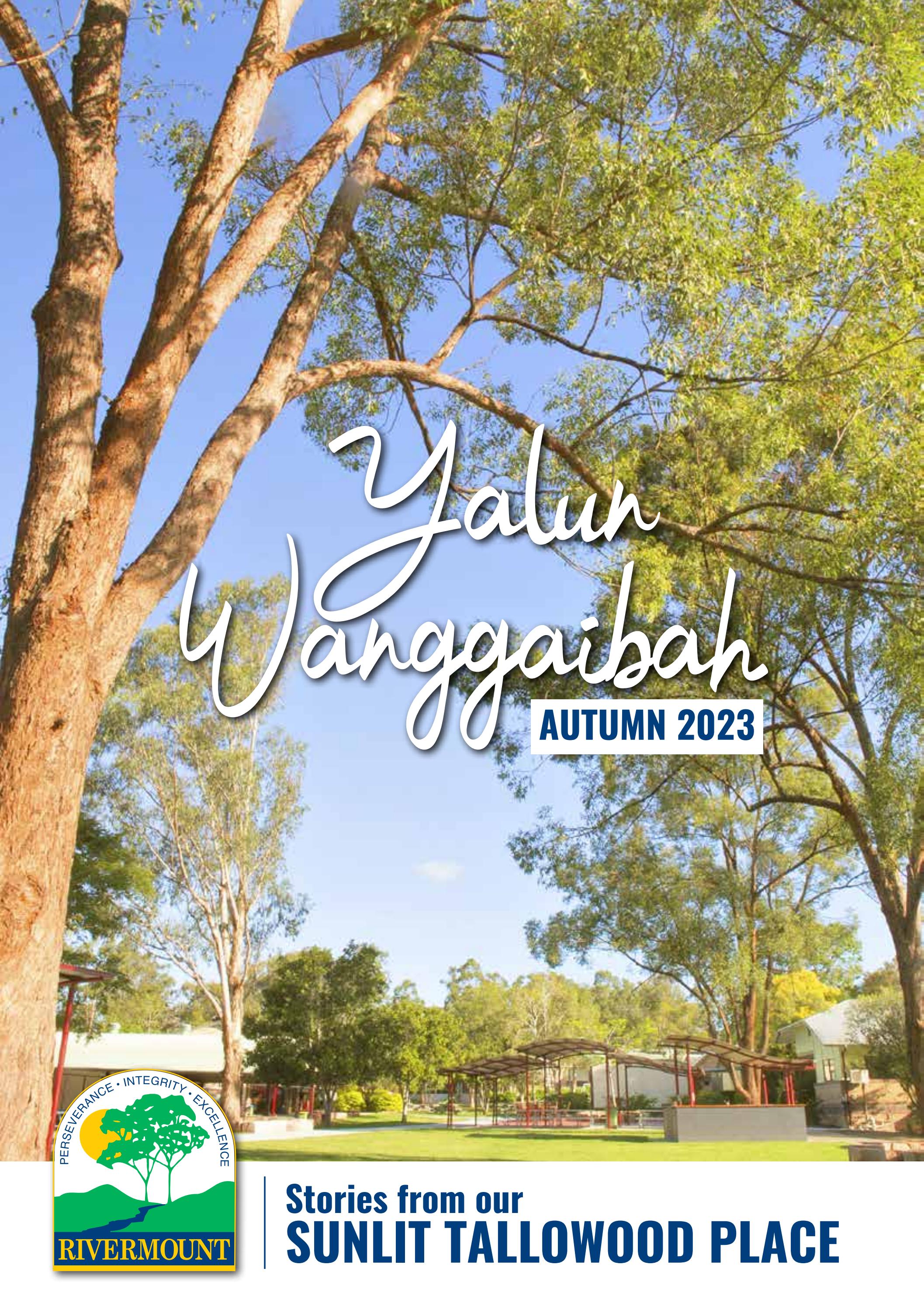 Yalun Wanggaibah | Stories from our sunlit tallowood place by ...