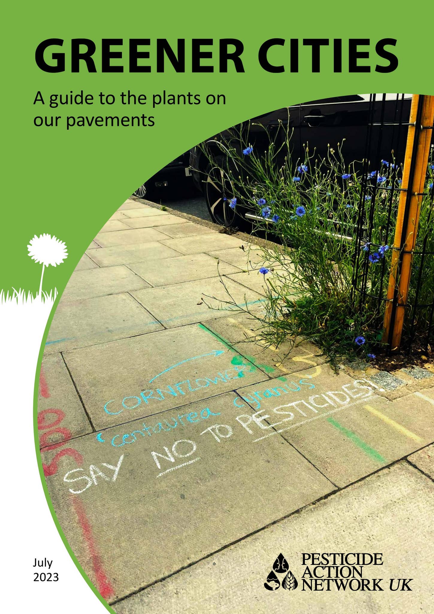 Greener Cities: A guide to the plants on our pavements by PAN UK - Issuu