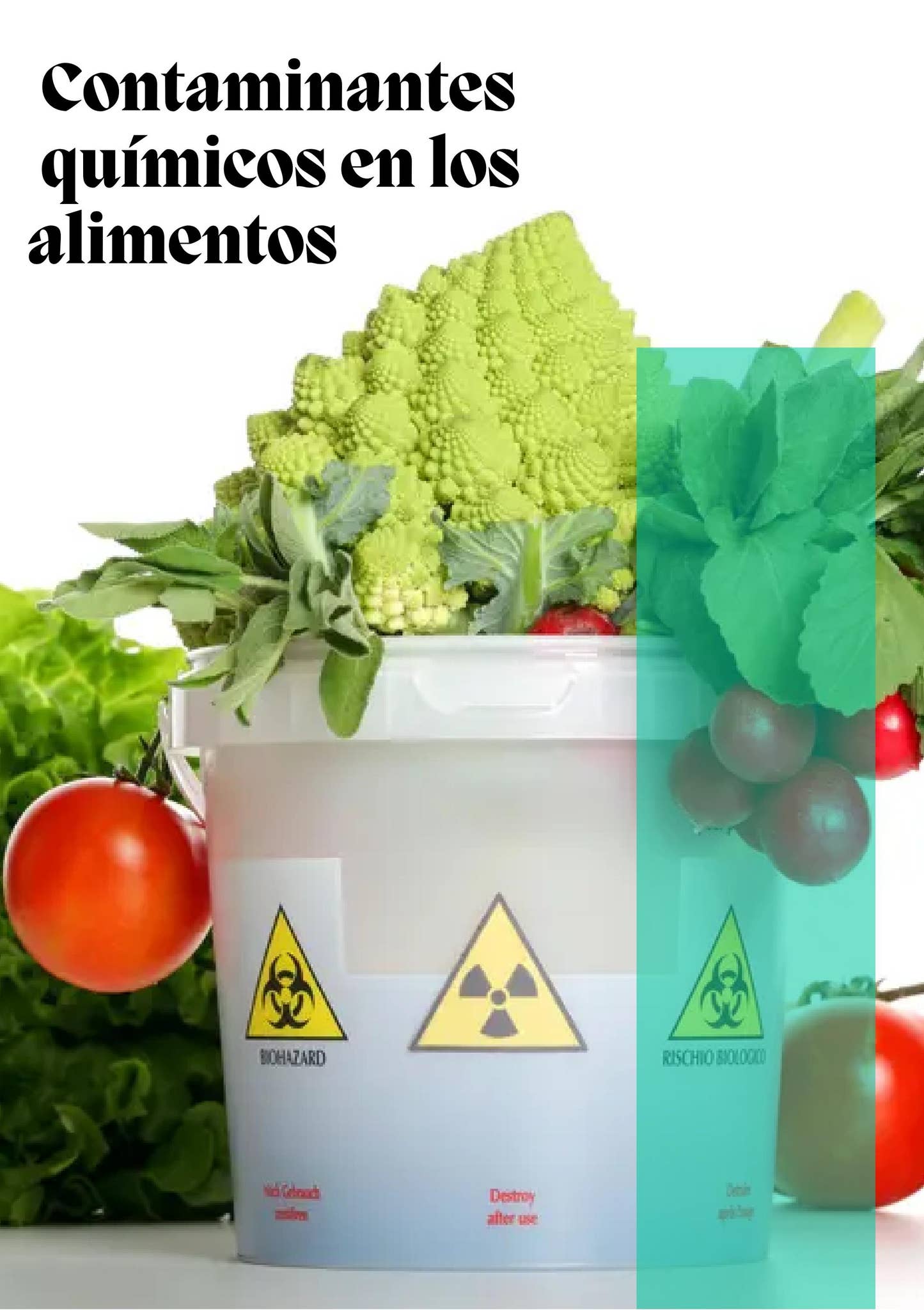 Contaminantes químicos en los alimentos by BLANCA CAMINO GUANANGA - Issuu