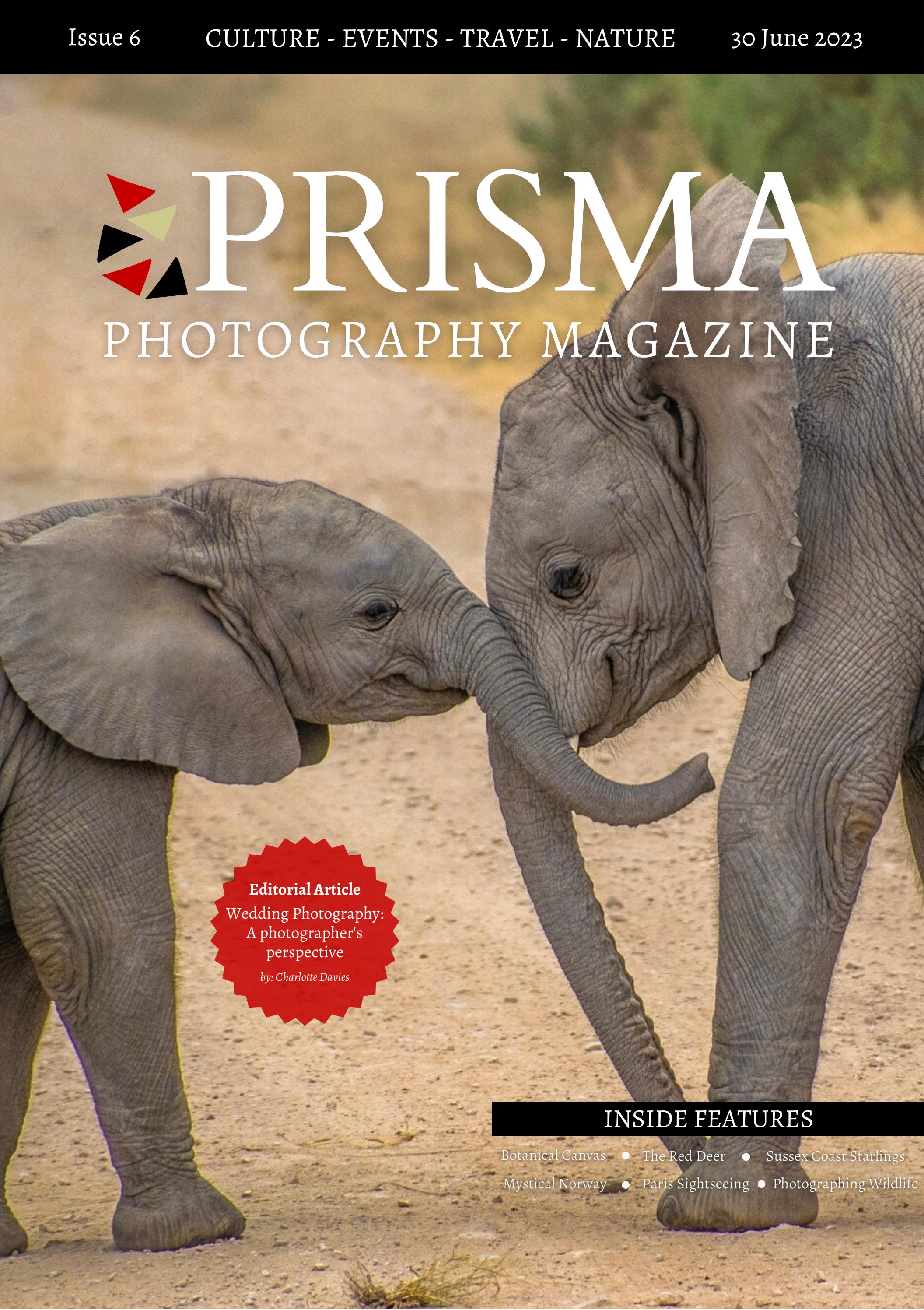 PRISMA Issue 6 by PRISMA Photography Magazine - Issuu