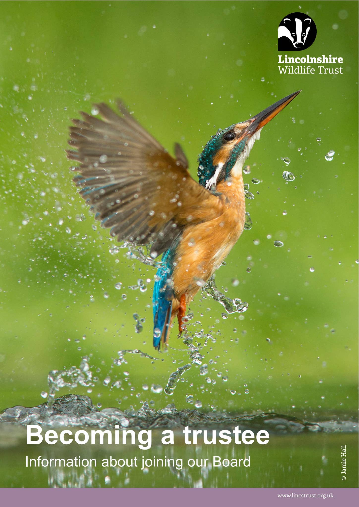 Trustee Prospectus 2023 by Lincolnshire Wildlife Trust - Issuu