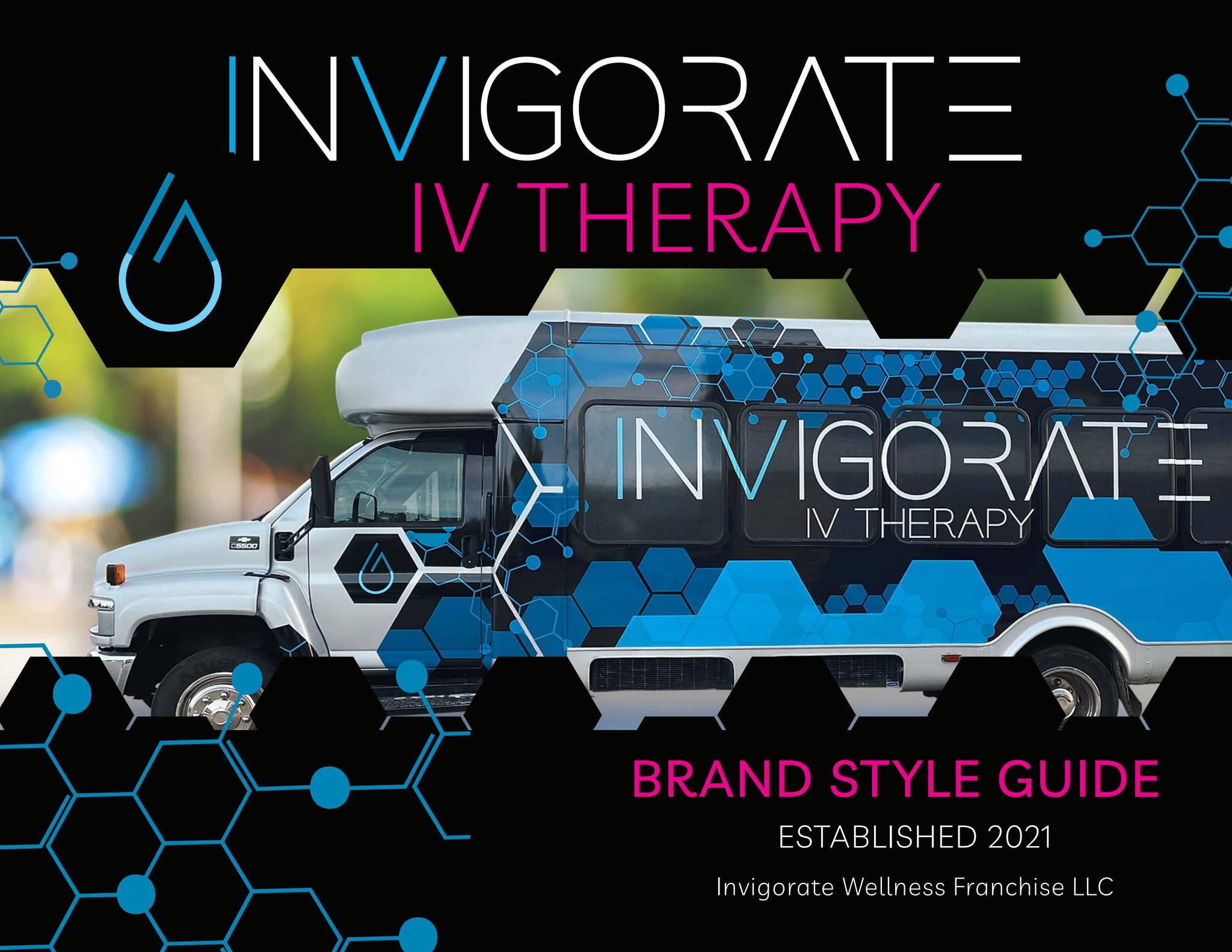 Invigorate Brand Style Guide by Vector & Ink - Issuu