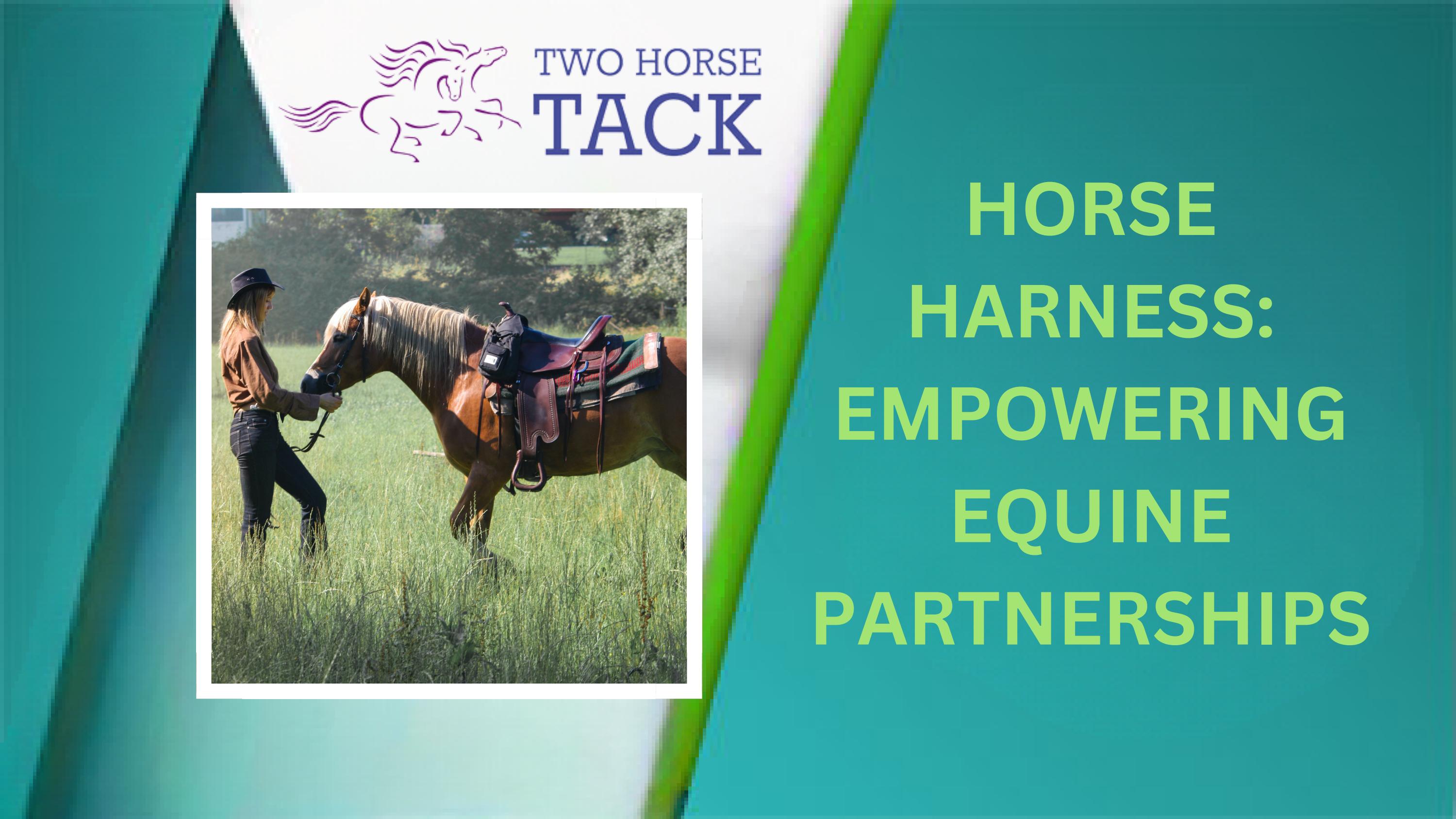 Understanding Horse Harness: Types, Components, and Usage | Two horse ...