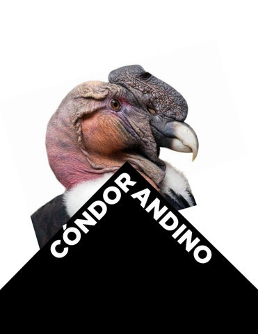 fcastellan Publisher Publications - Issuu