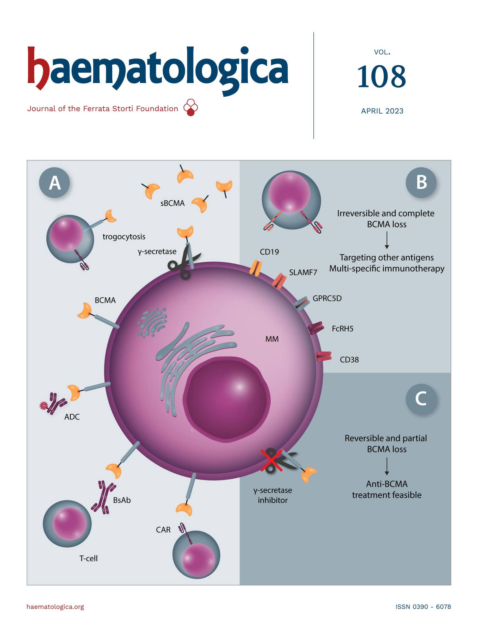 Haematologica, Volume 108, Issue 4 by Haematologica - Issuu