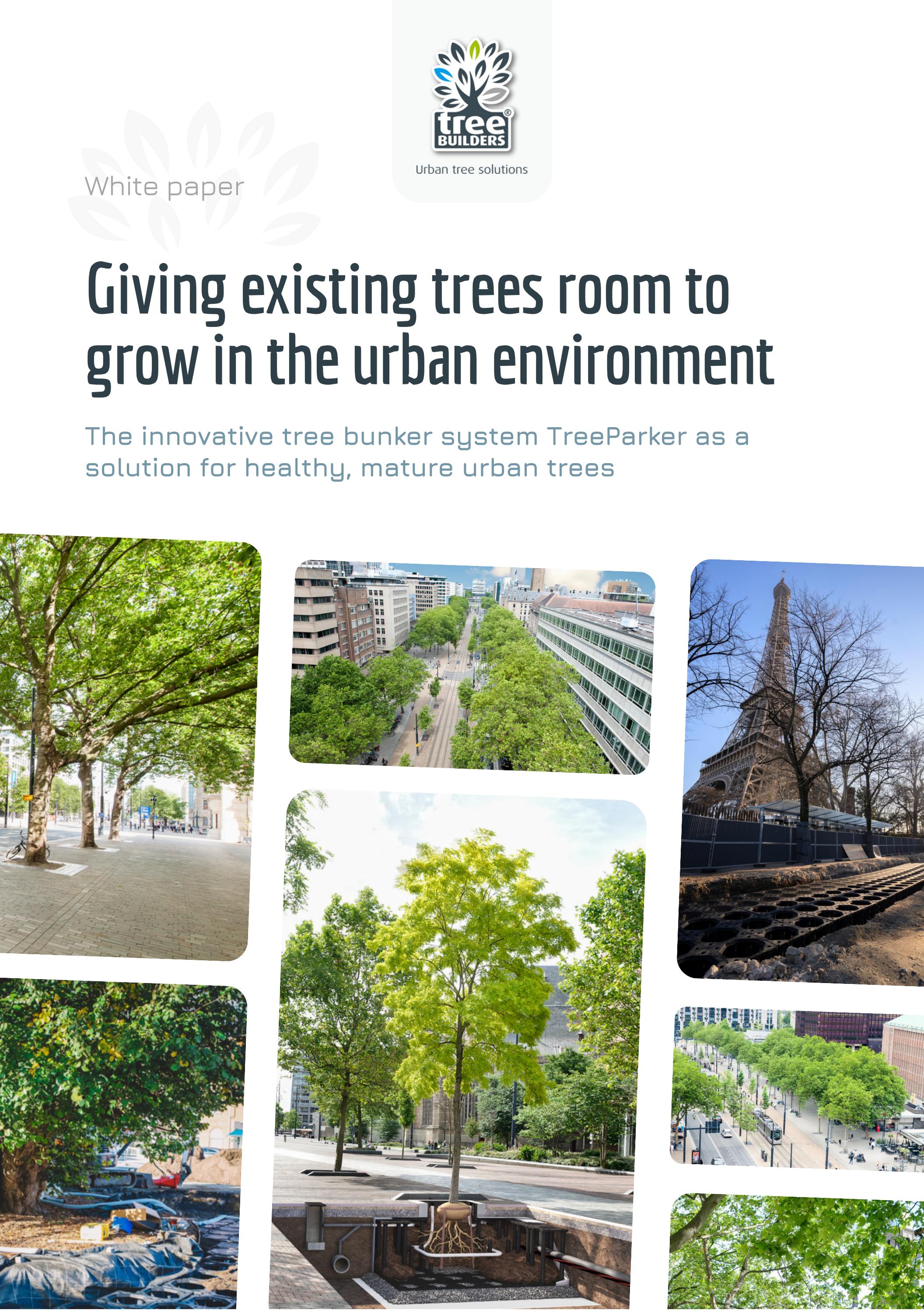 Whitepaper | Giving existing trees room to grow in the urban ...
