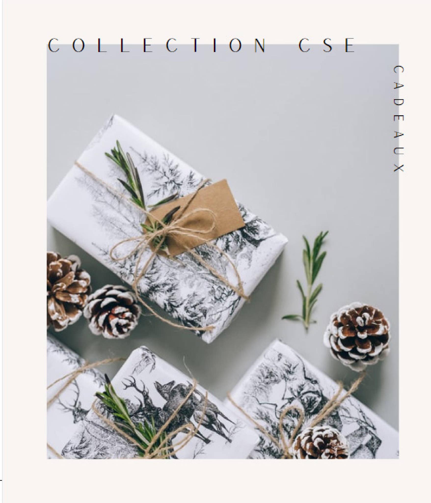 Catalogue CSE__2023 by MMKDO - Issuu