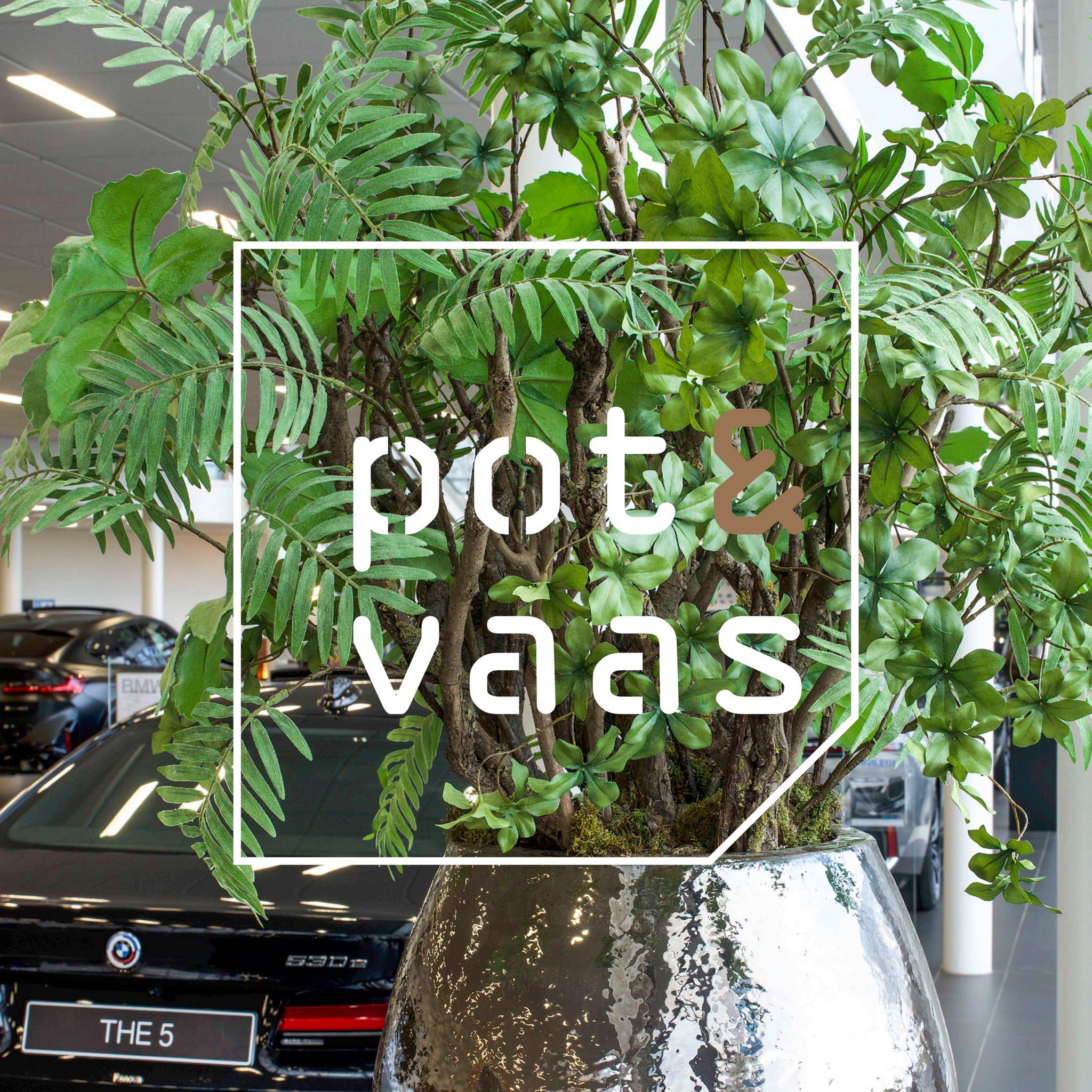 Pot & Vaas - Brochure Autozaken by Erica van der Linden - Issuu
