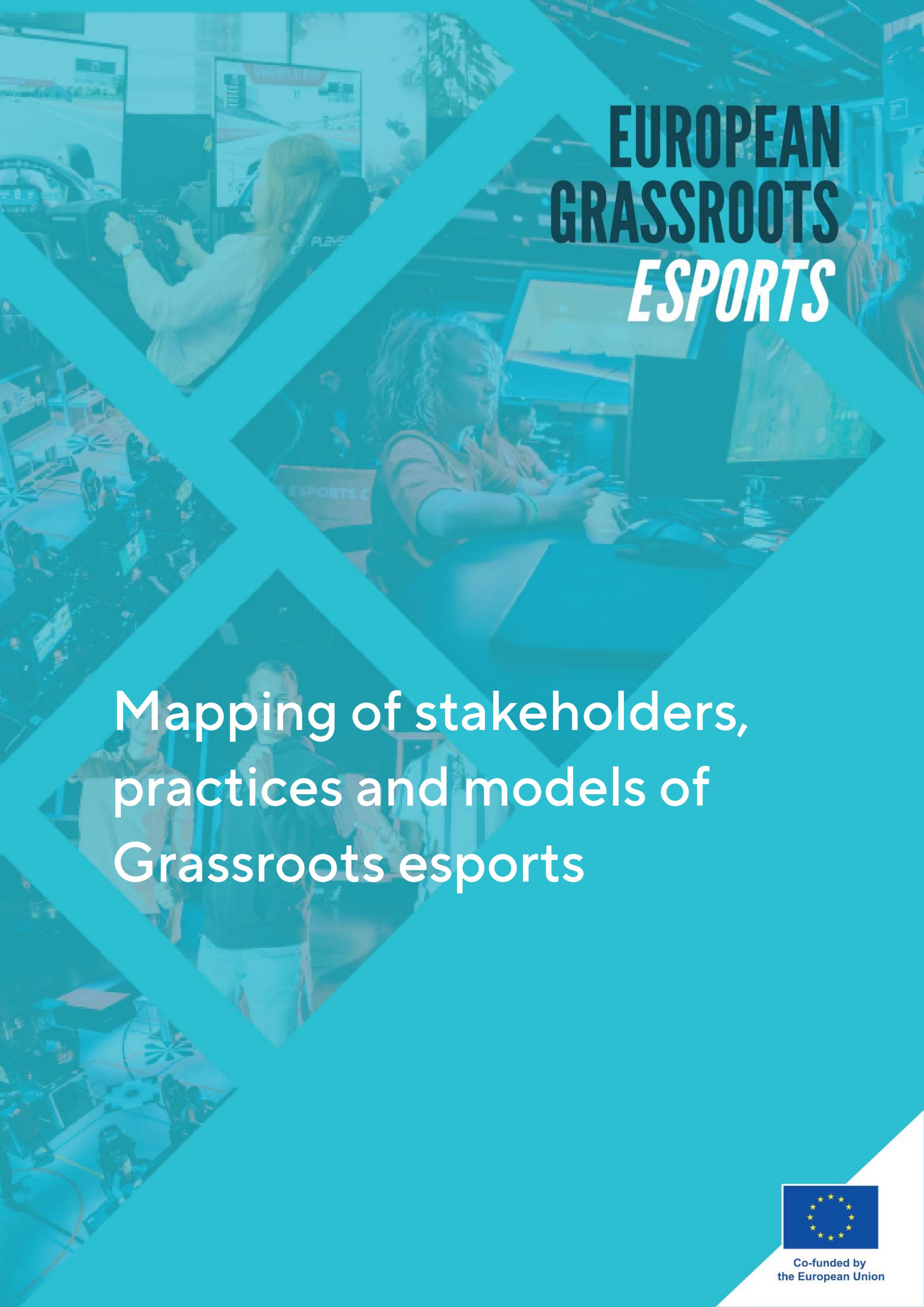 Mapping of stakeholders, practices and models of grassroots esports by ...