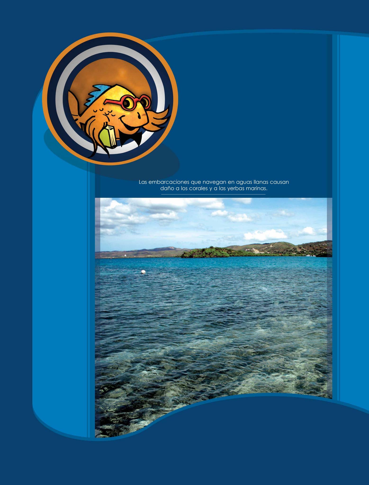 Los Arrecifes de Coral by Puerto Rico Sea Grant - Issuu
