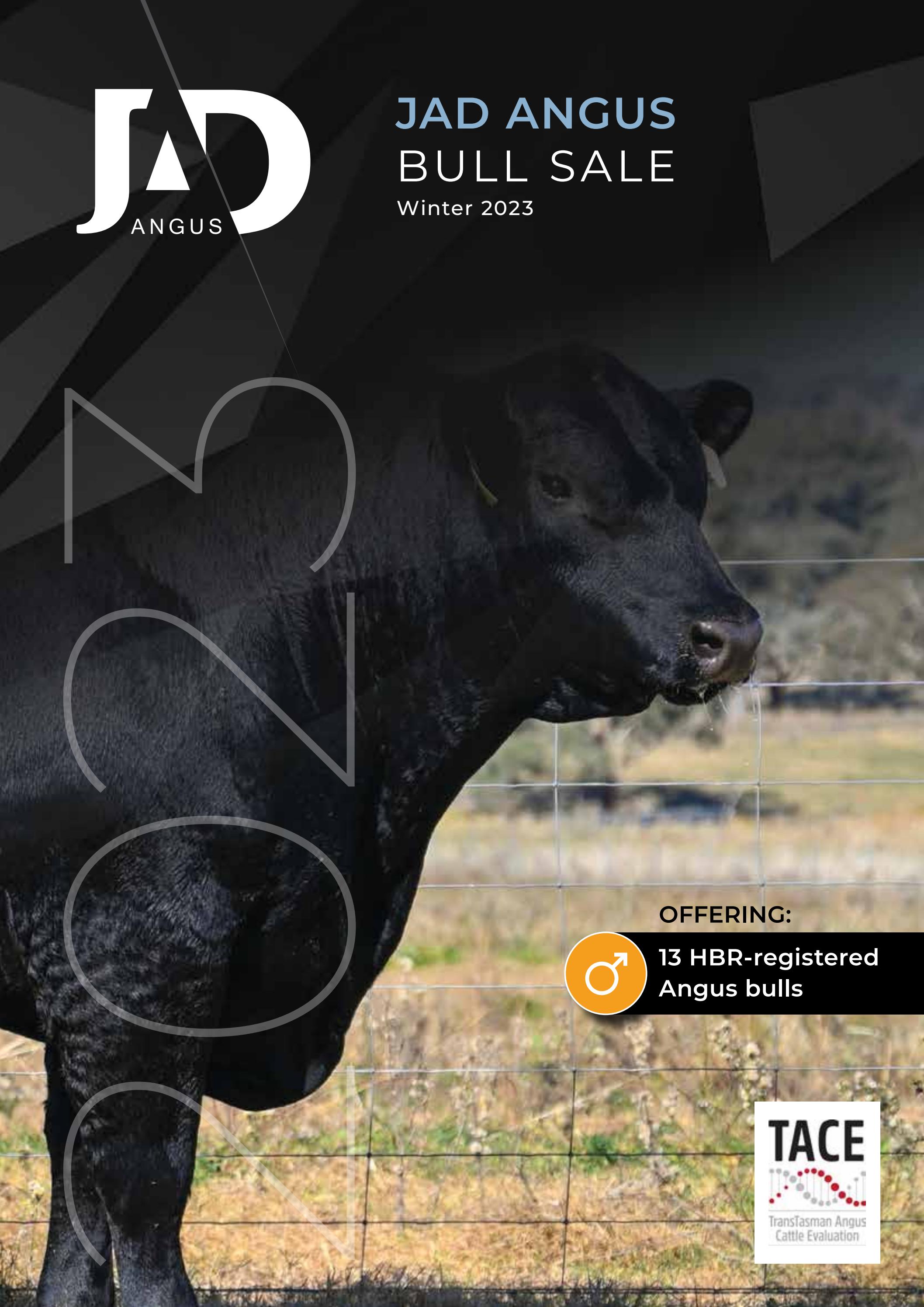 2023 JAD Angus Bull Catalogue by JAD Speckle Park - Issuu