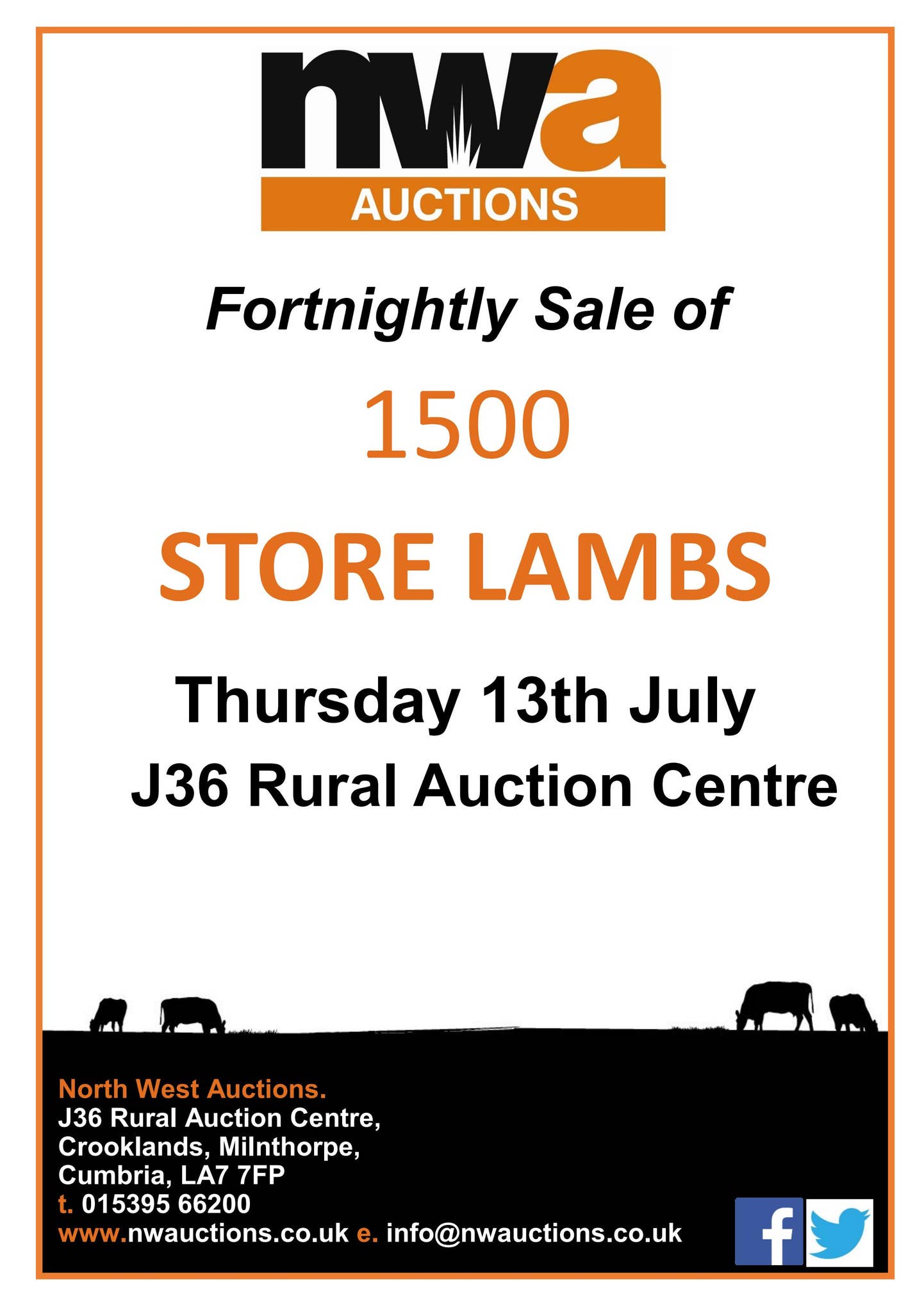 J36 Store Lamb Catalogue by North West Auctions - Issuu