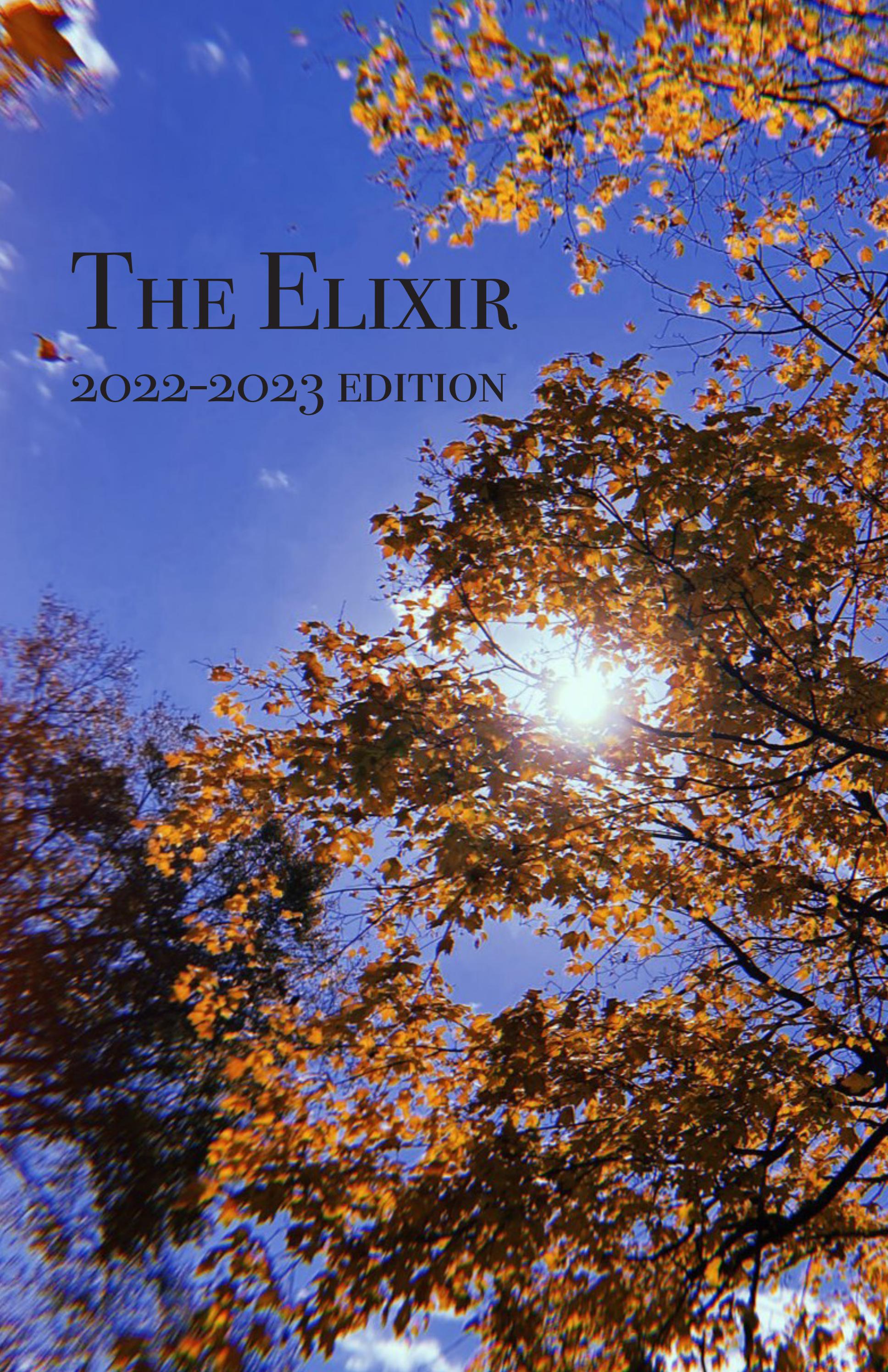 The Elixir, 2022-2023 Edition by Brenau University - Issuu